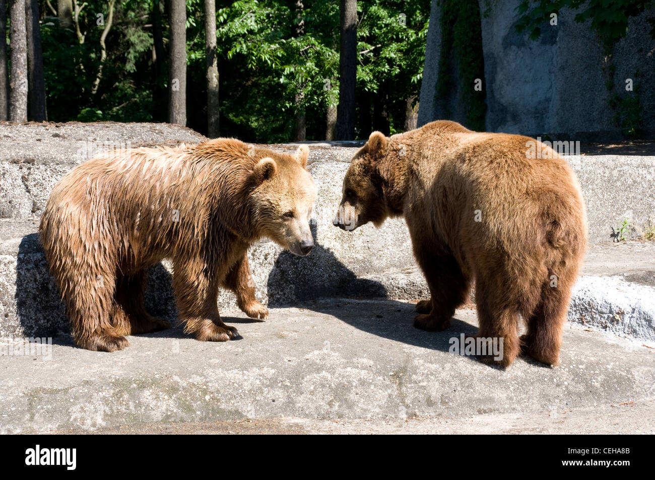 Warsaw zoo park hi-res stock photography and images - Alamy