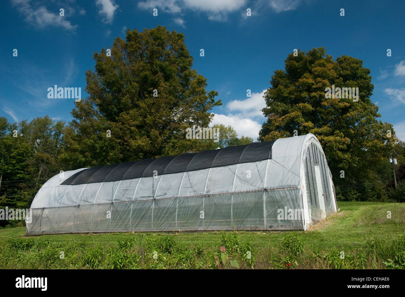 Plastic Tunnel High Resolution Stock Photography and Images - Alamy