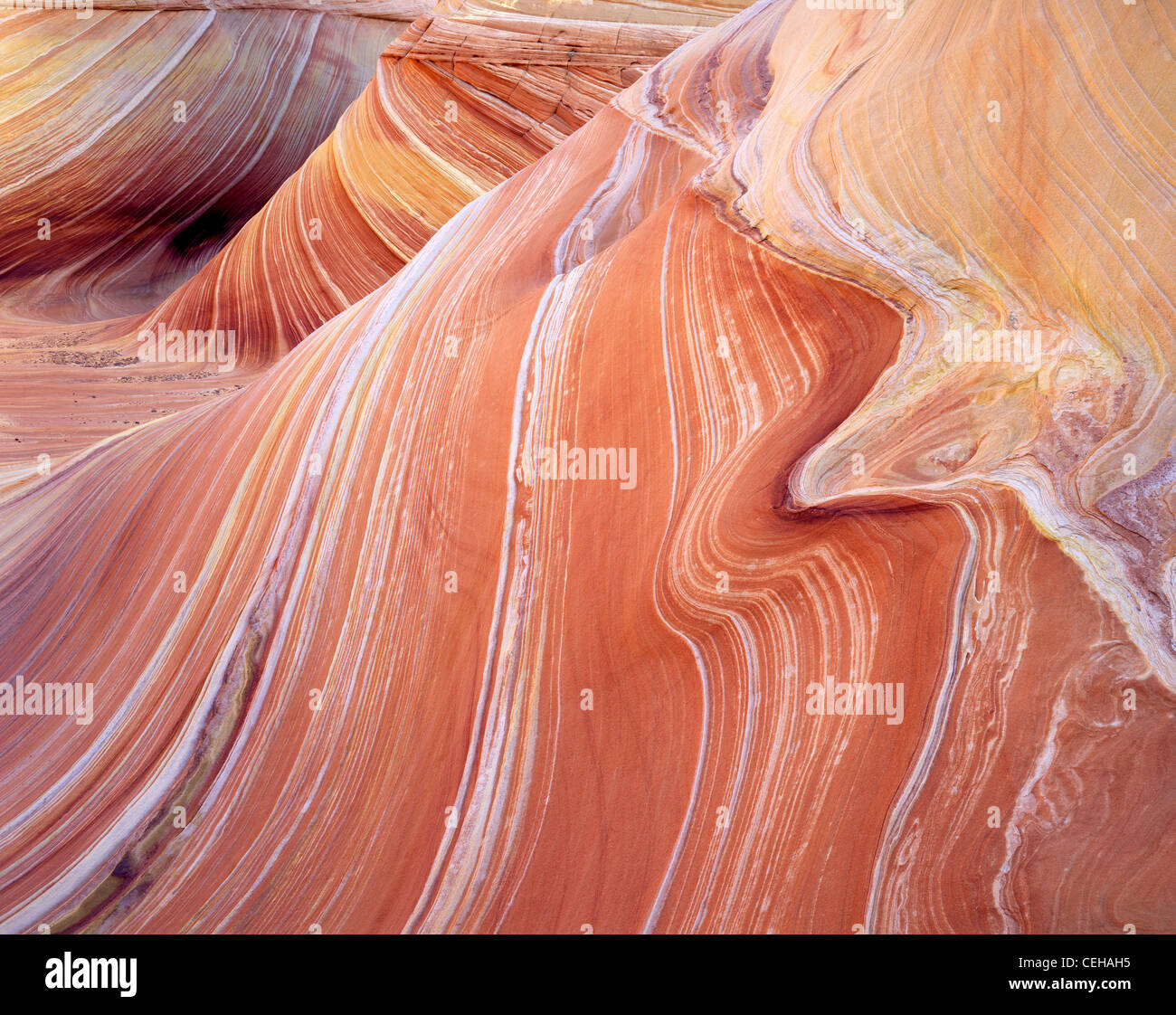 Colorful bands of sandstone in The Wave section of Coyote Buttes North ...