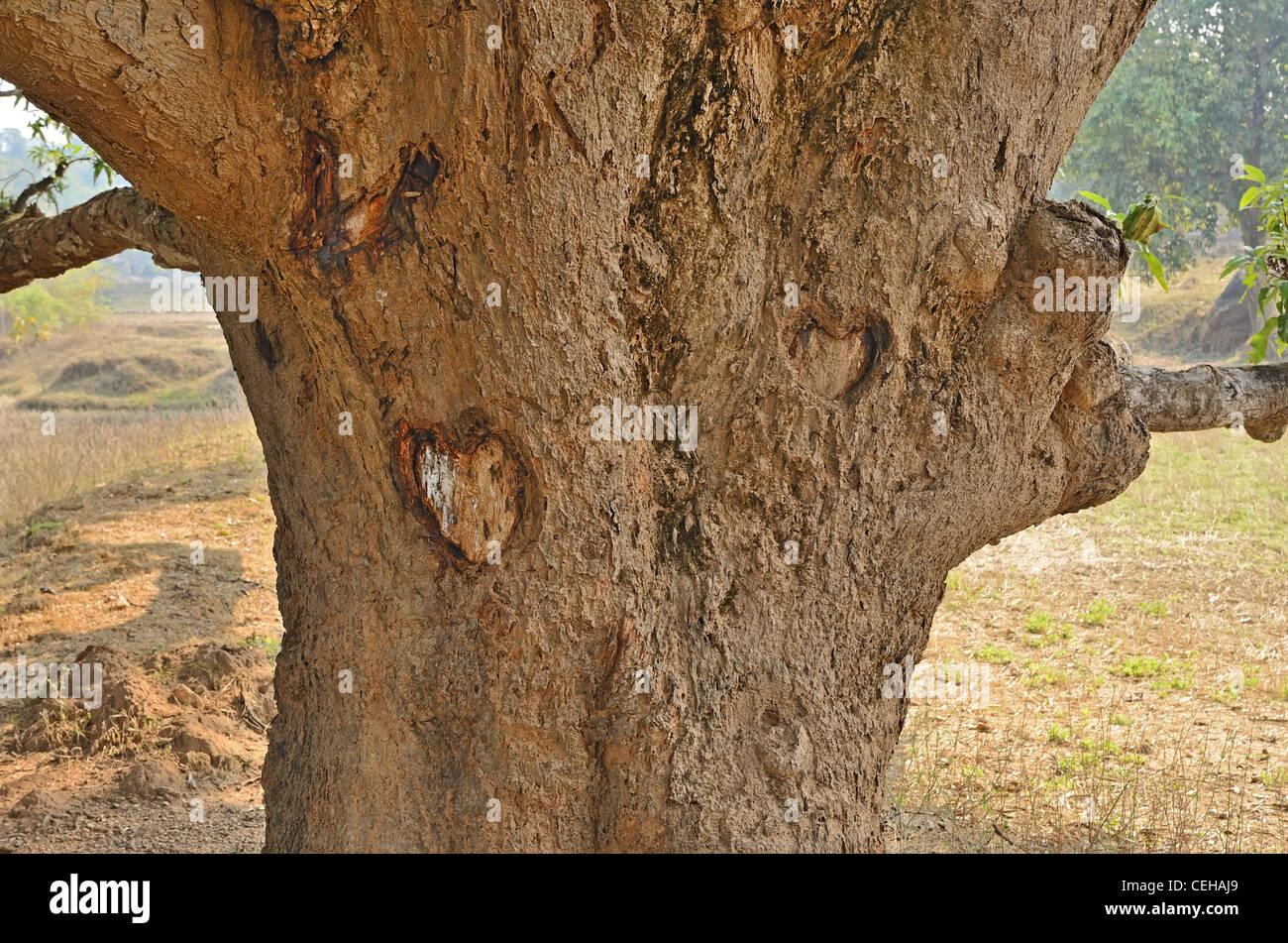 Heart symbols hi-res stock photography and images - Alamy