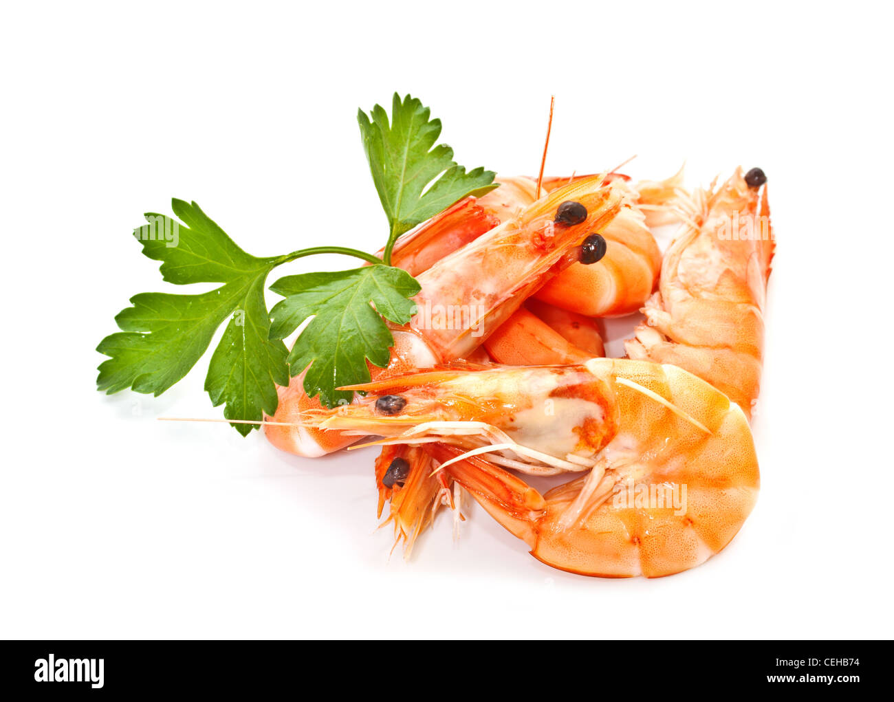 Prawns with a sprig of parsley on a white background Stock Photo - Alamy