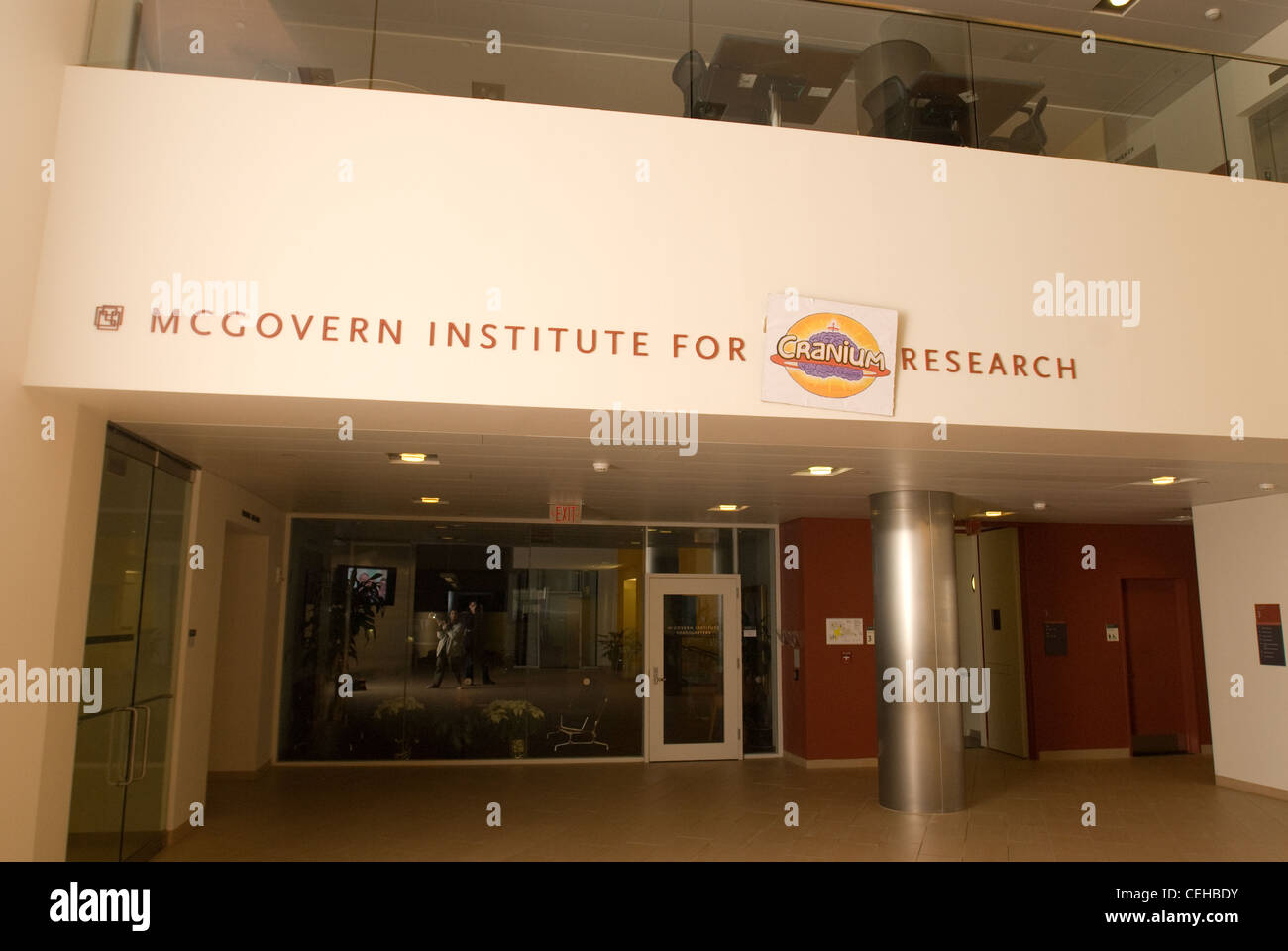 Cranium board hi-res stock photography and images - Alamy