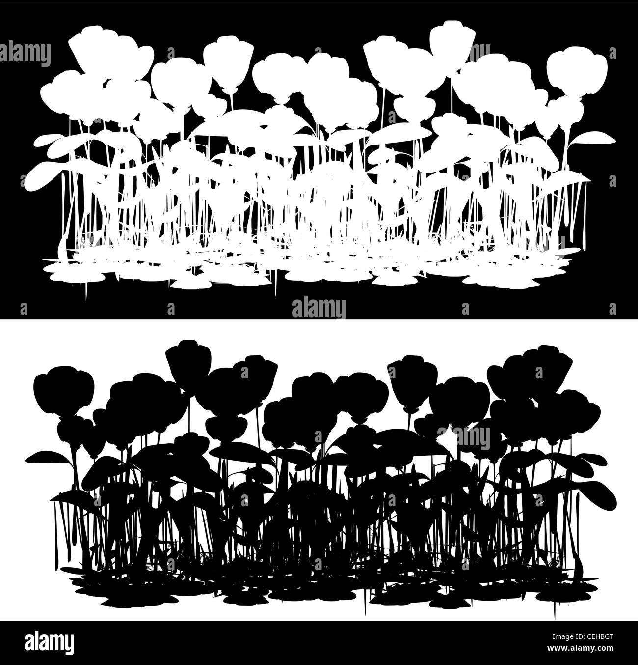 Wild flowers in border Black and White Stock Photos & Images - Alamy