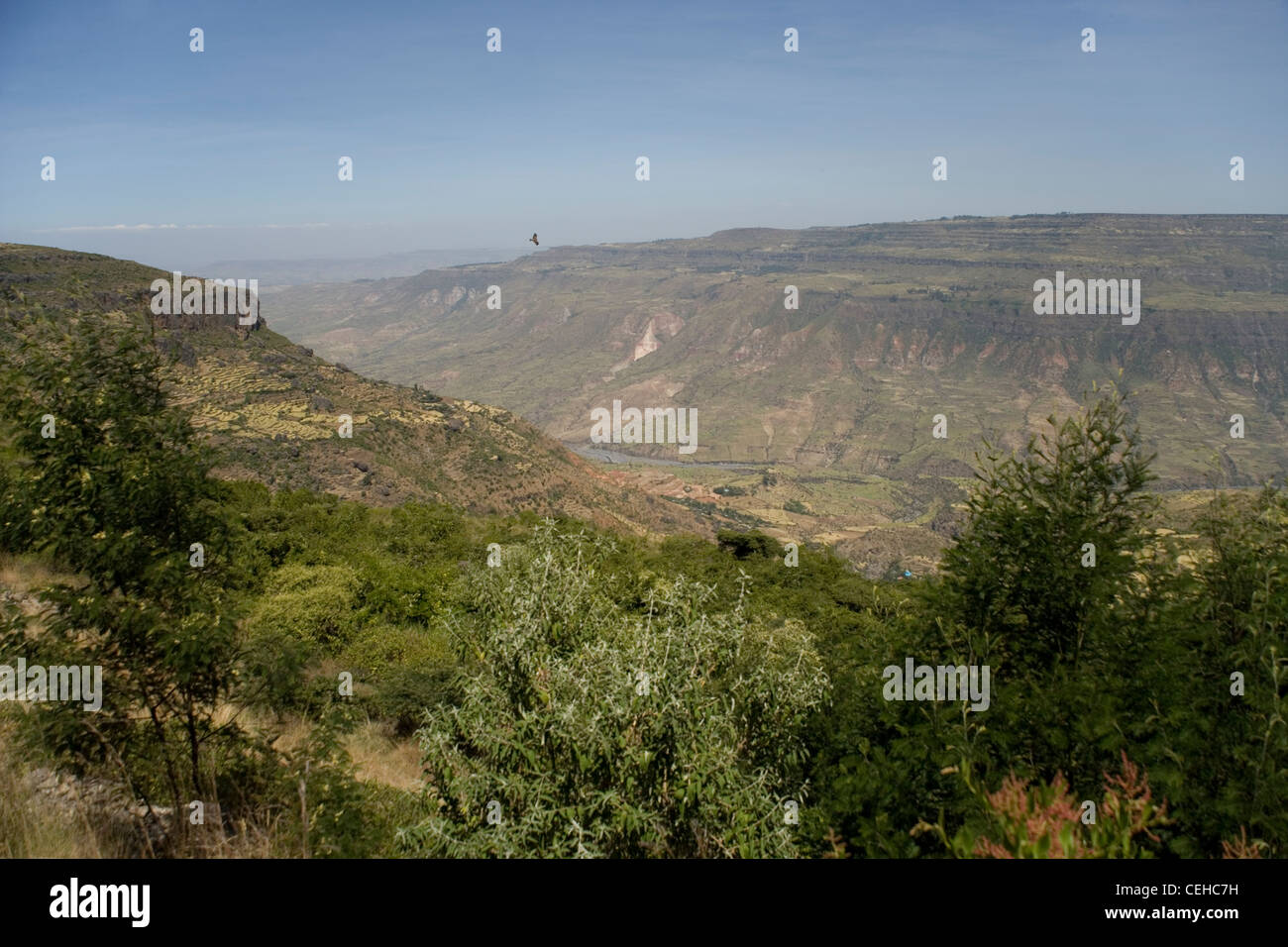 African Rift Valley near Debre Libanos in Ethiopia Stock Photo - Alamy