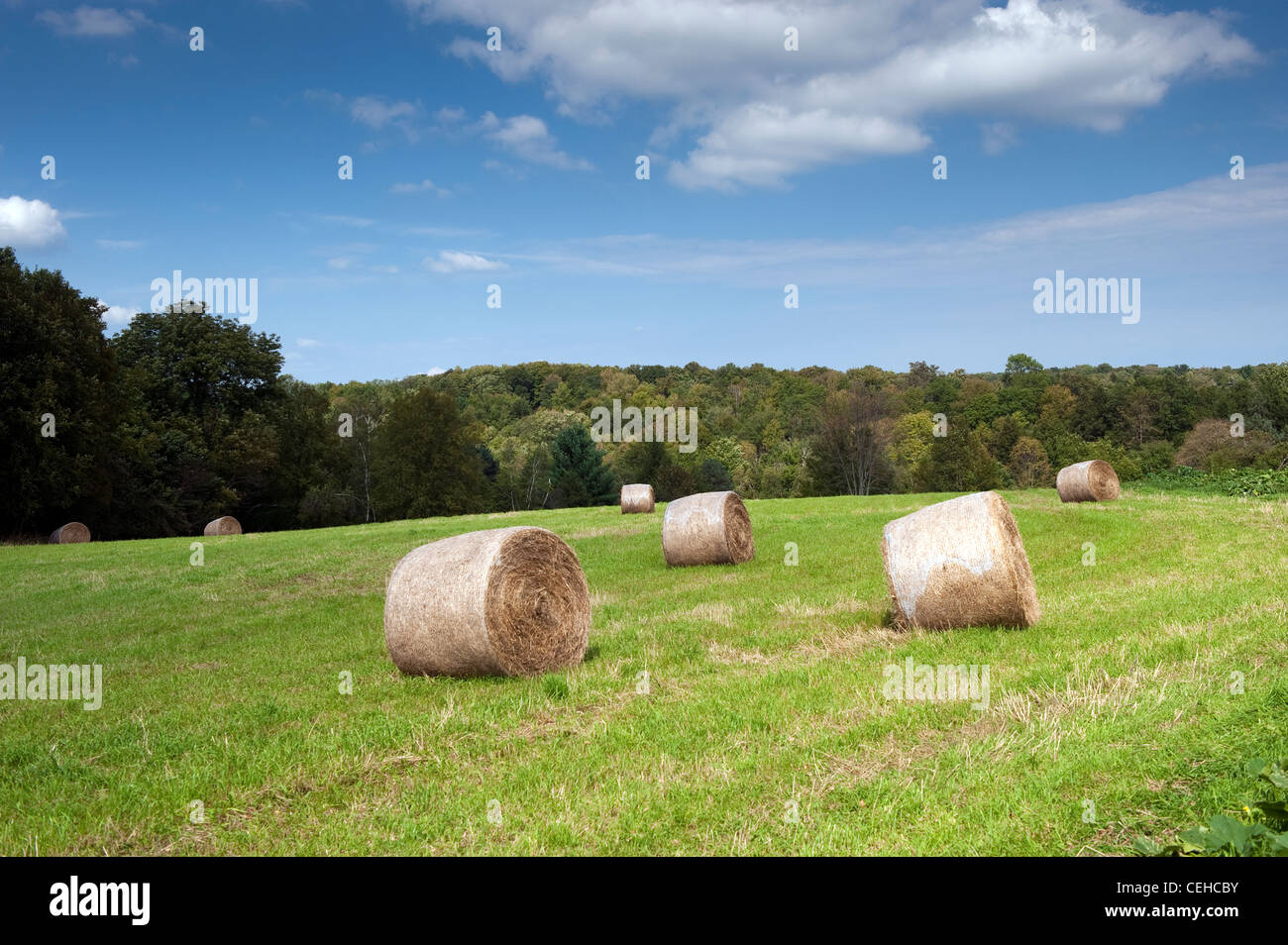Round bales of hay in meadow, Pennsylvania, USA Stock Photo - Alamy