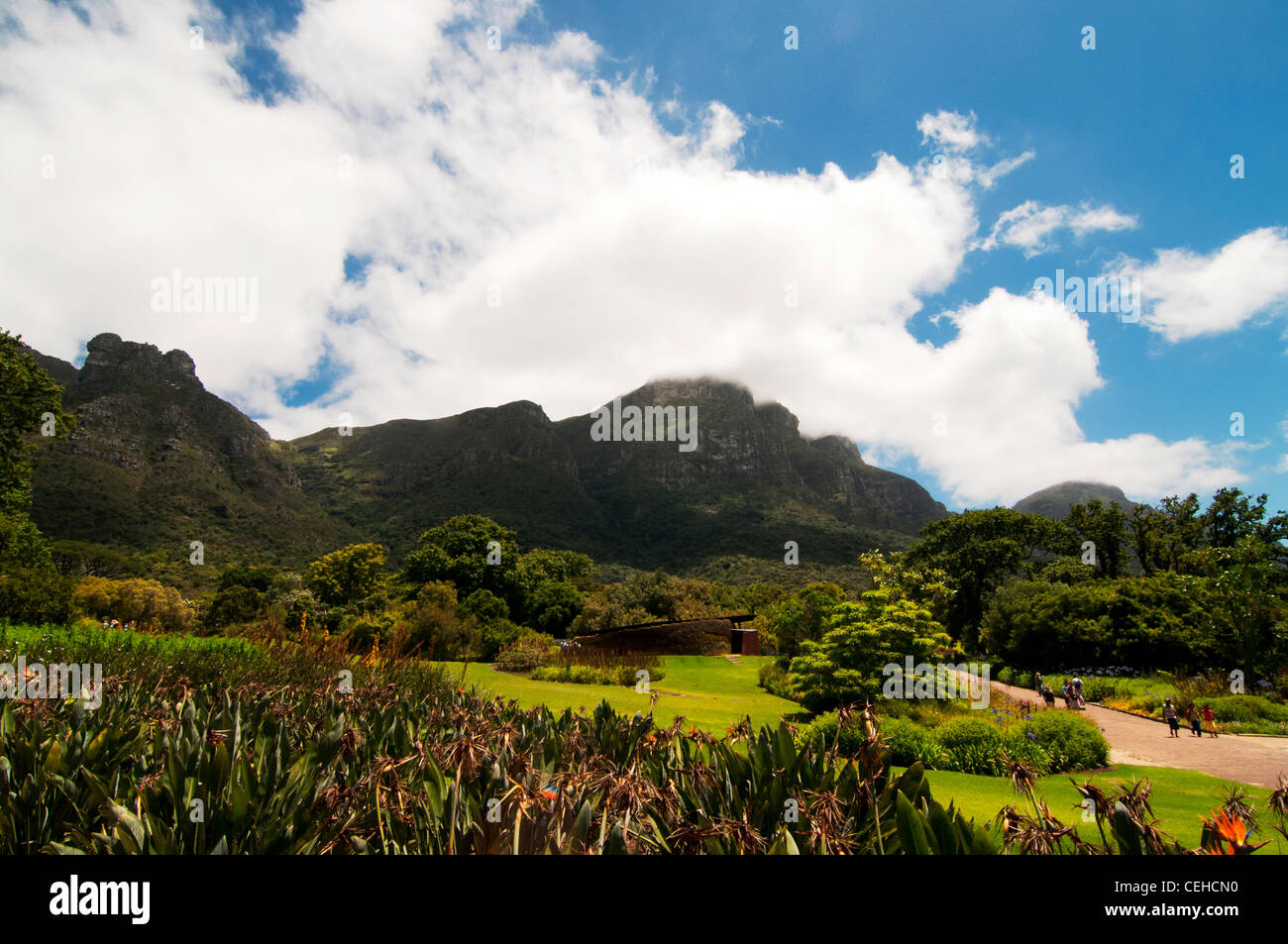 Kirstenbosch National Botanical Garden, Cape Town, South Africa Stock ...