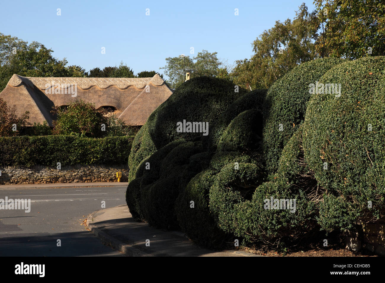 Hedge cloud pruning hi-res stock photography and images - Alamy