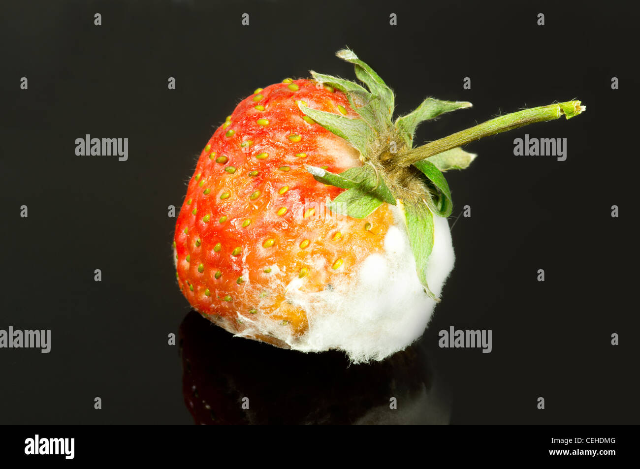 Rotten fruit hi-res stock photography and images - Alamy