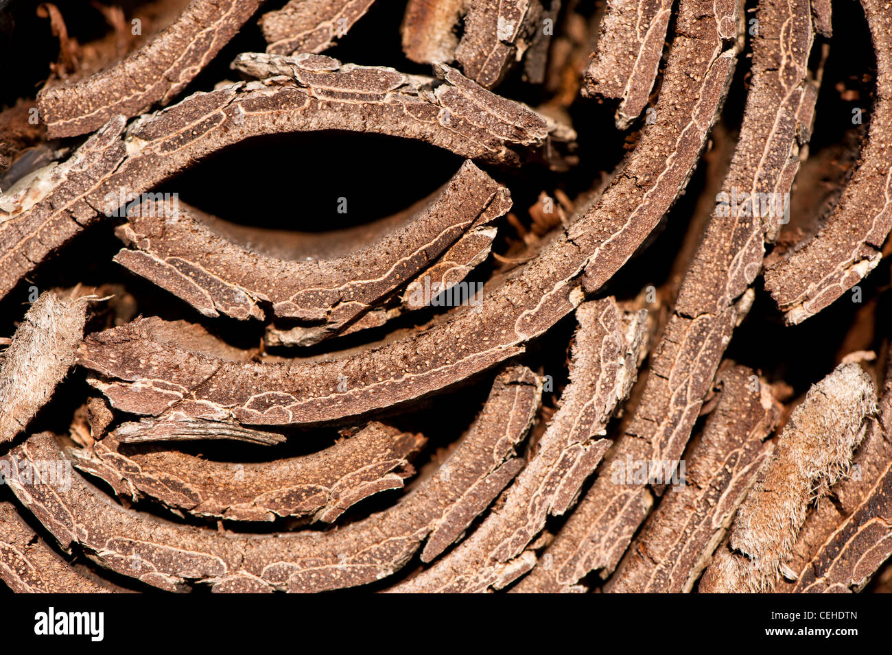 Insect nesting habitat made from tree bark Stock Photo - Alamy