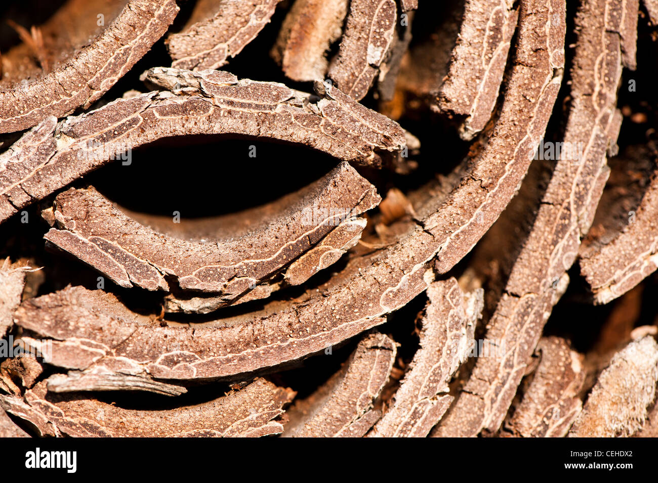Insect nesting habitat made from tree bark Stock Photo - Alamy