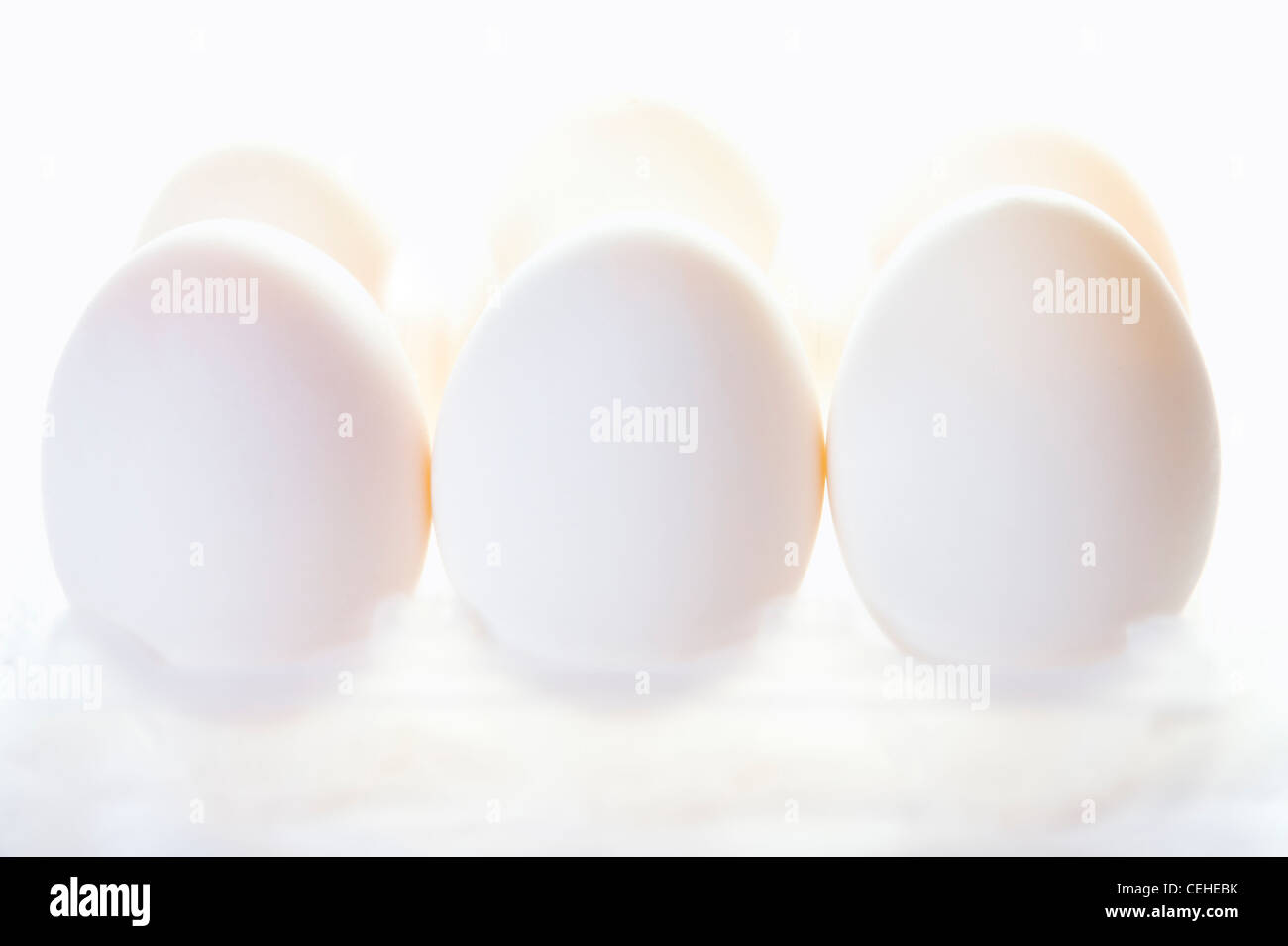 large duck eggs back lit Stock Photo - Alamy