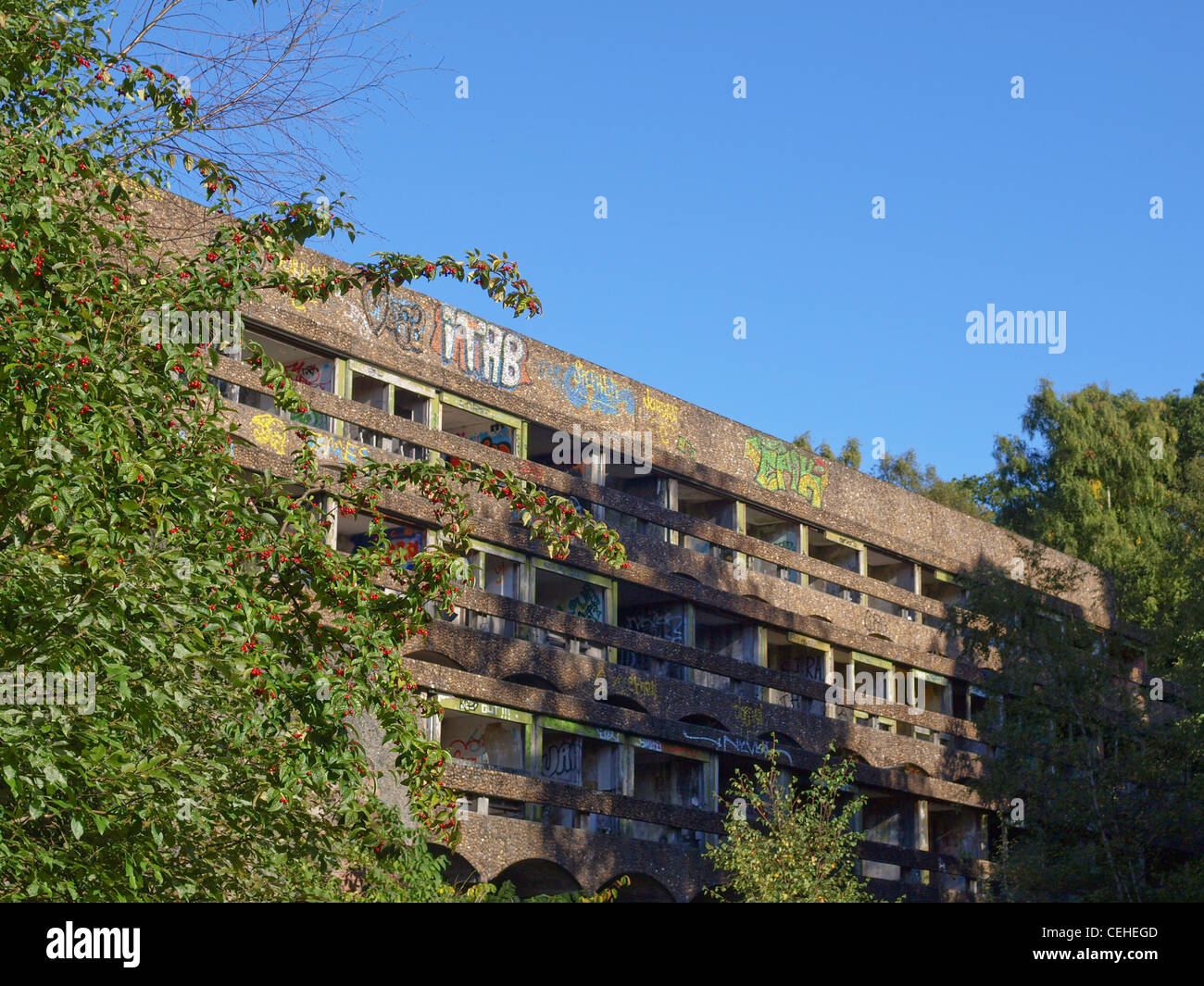 Ruins of St Peter Seminary, iconic new brutalist building in Cardross ...