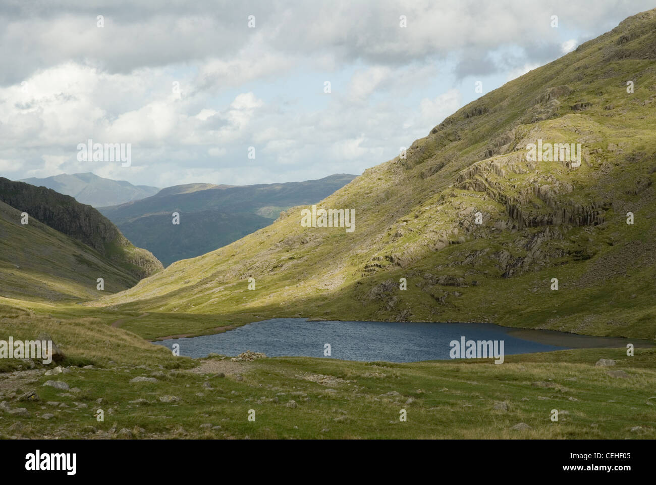 Sty head hi-res stock photography and images - Alamy