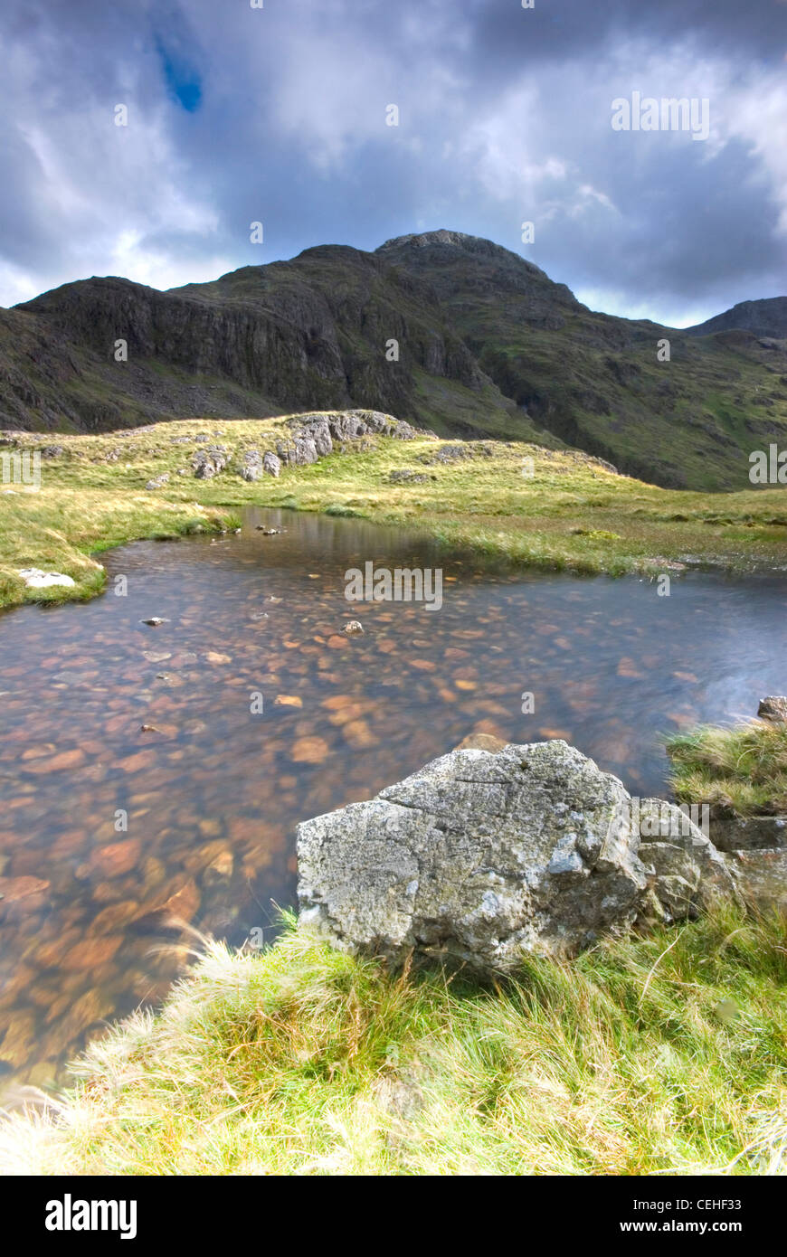 Sty head hi-res stock photography and images - Alamy