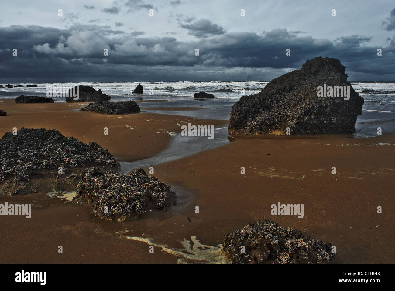 Winter in Normandy, on the beach Stock Photo - Alamy