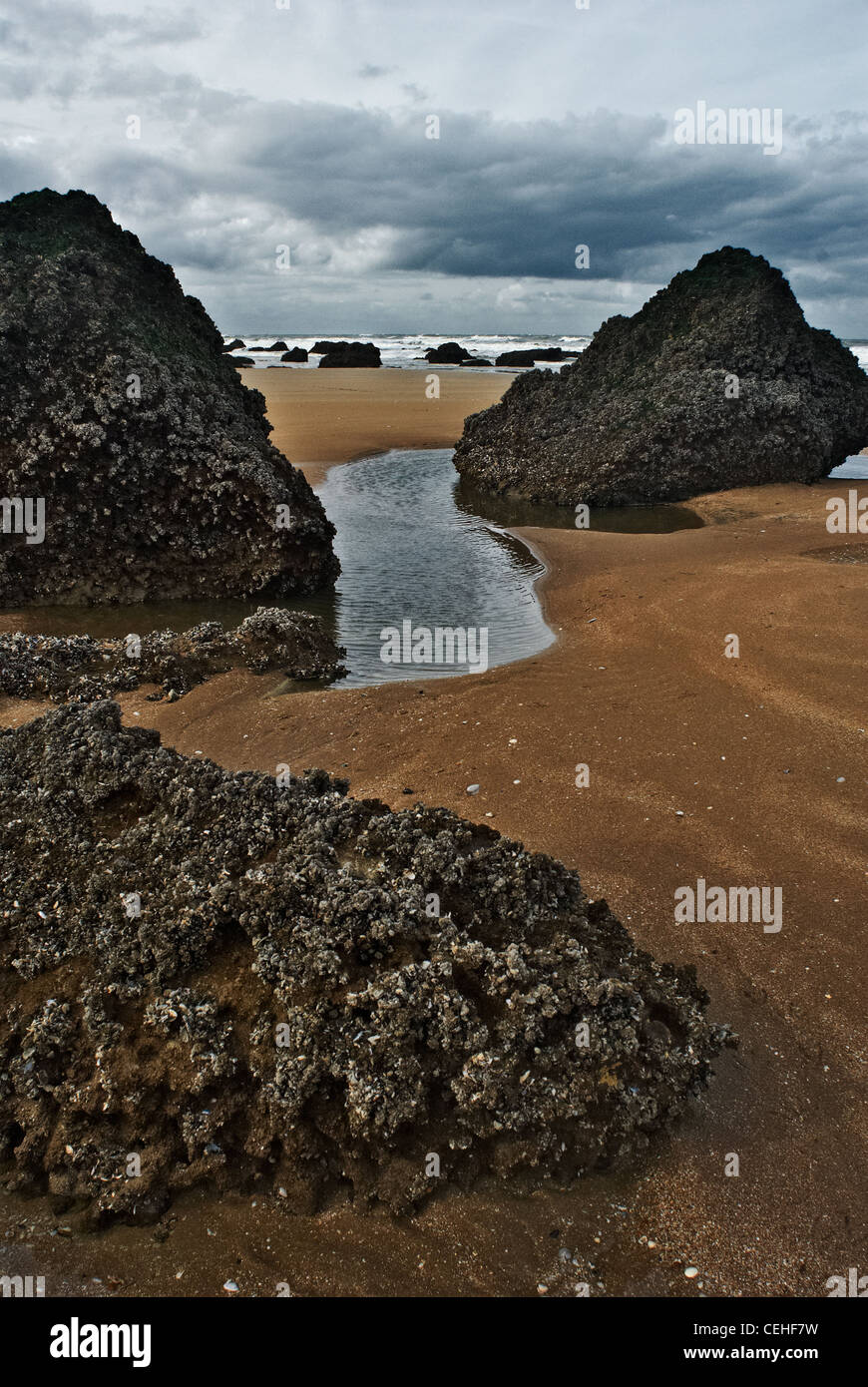Winter in Normandy, on the beach Stock Photo - Alamy