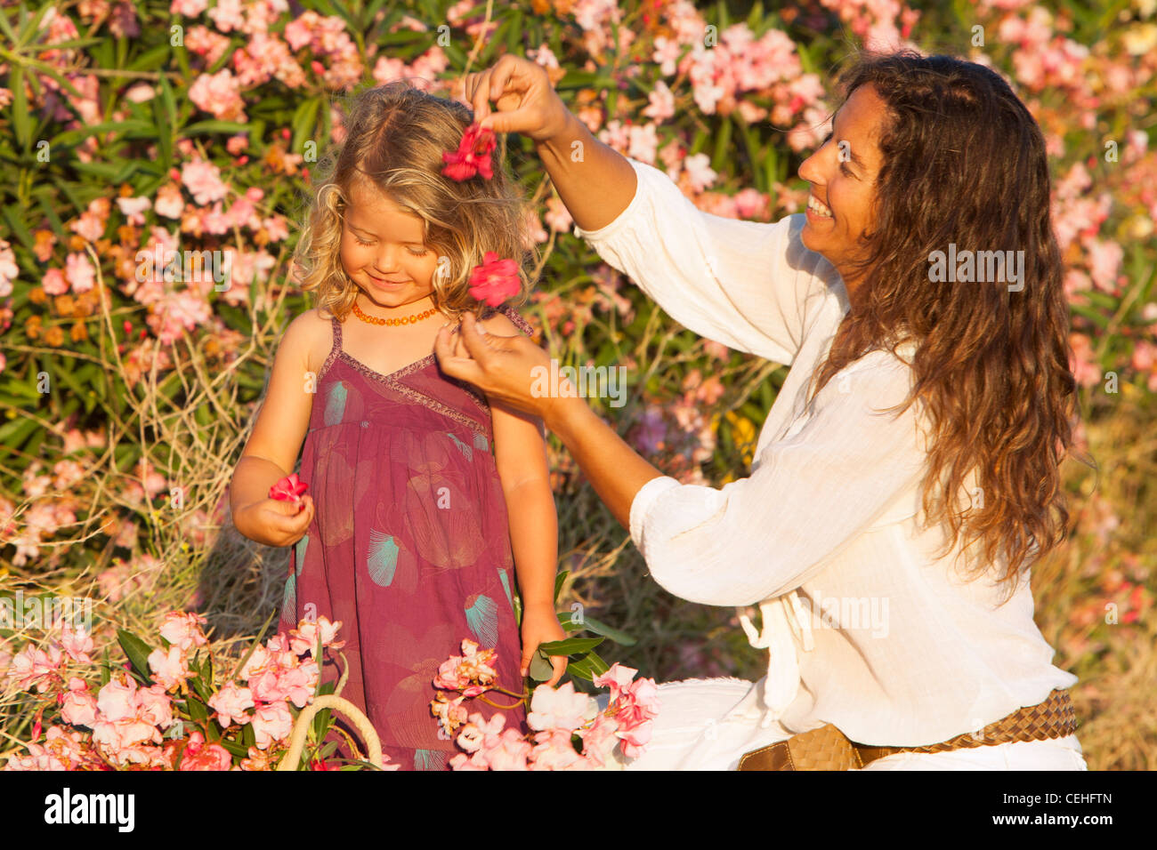 mother and daughter picking flowers in the field Stock Photo - Alamy