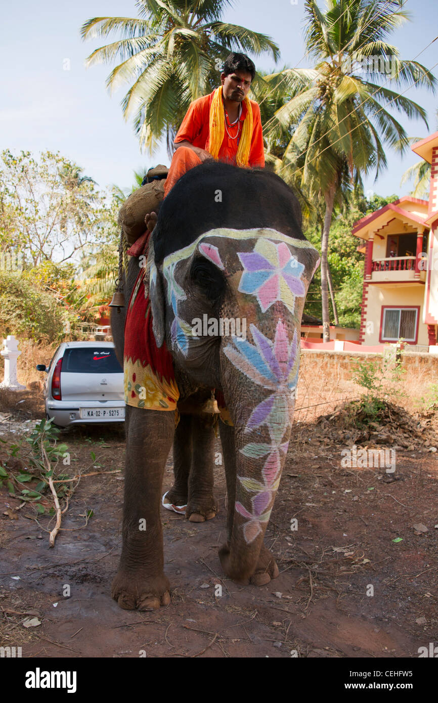 A temple elephant working with Hindu monks in Candolim, Goa Stock Photo ...