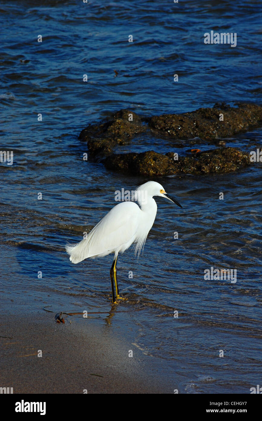 Big Dume Beach High Resolution Stock Photography and Images - Alamy