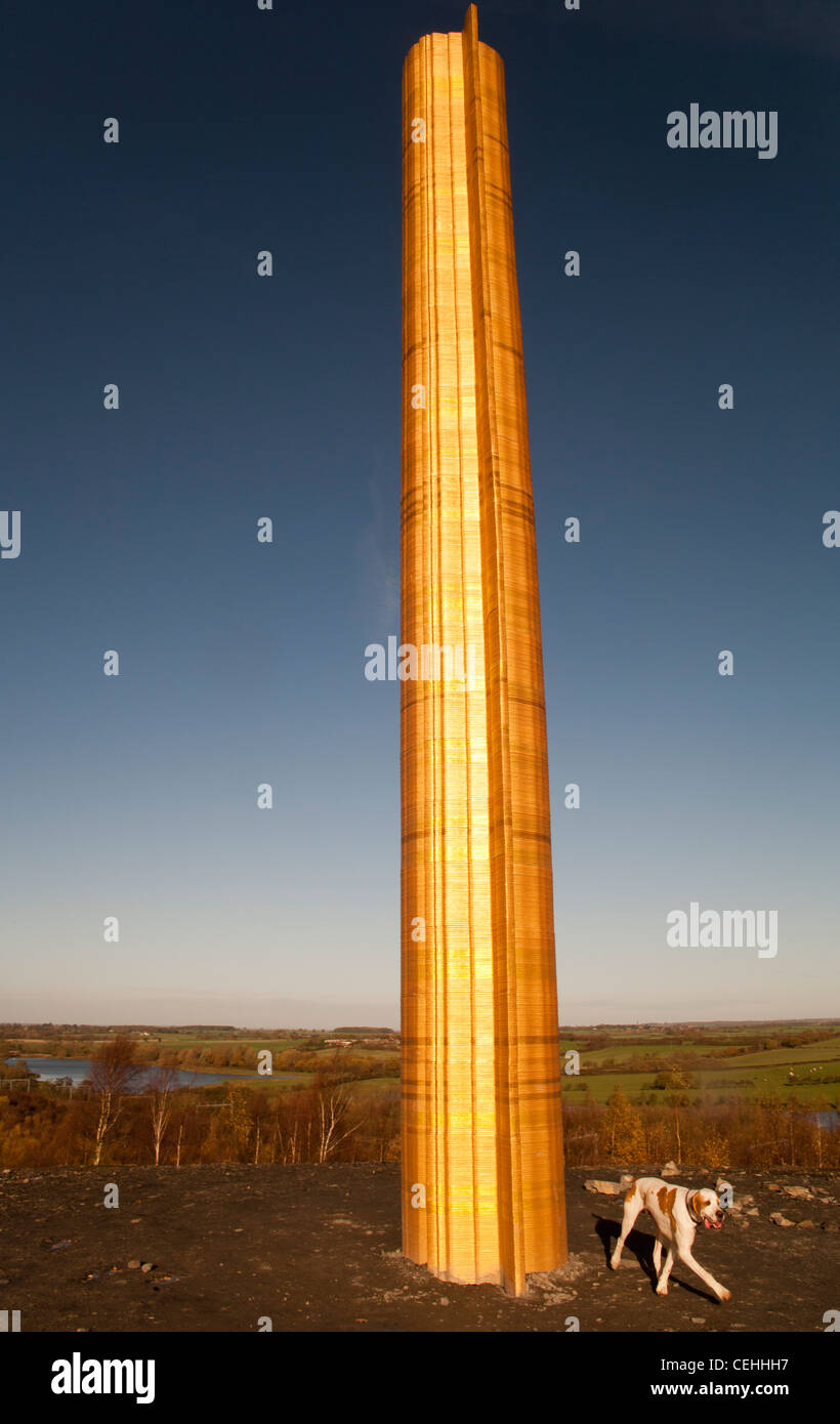 Ultimate male dog toilet, Golden Tower Art work Pooley Hall country ...