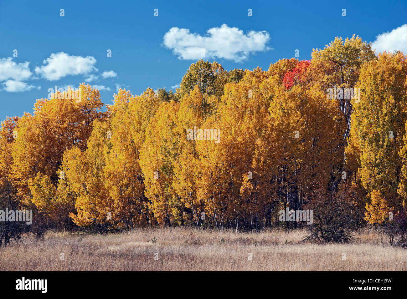 Klickitat county hi-res stock photography and images - Alamy