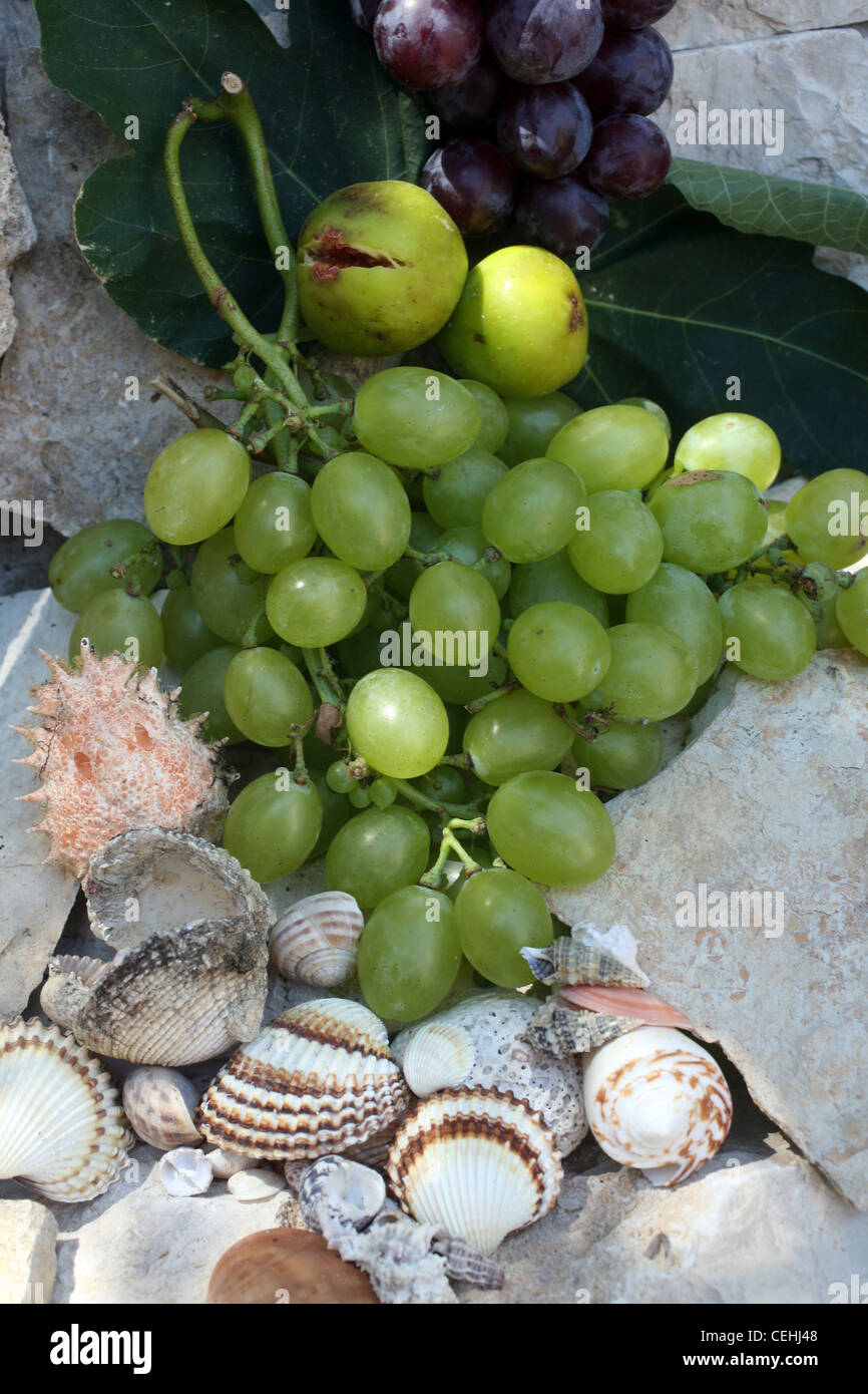 Mediterranean: grapes, figs and shells Stock Photo - Alamy