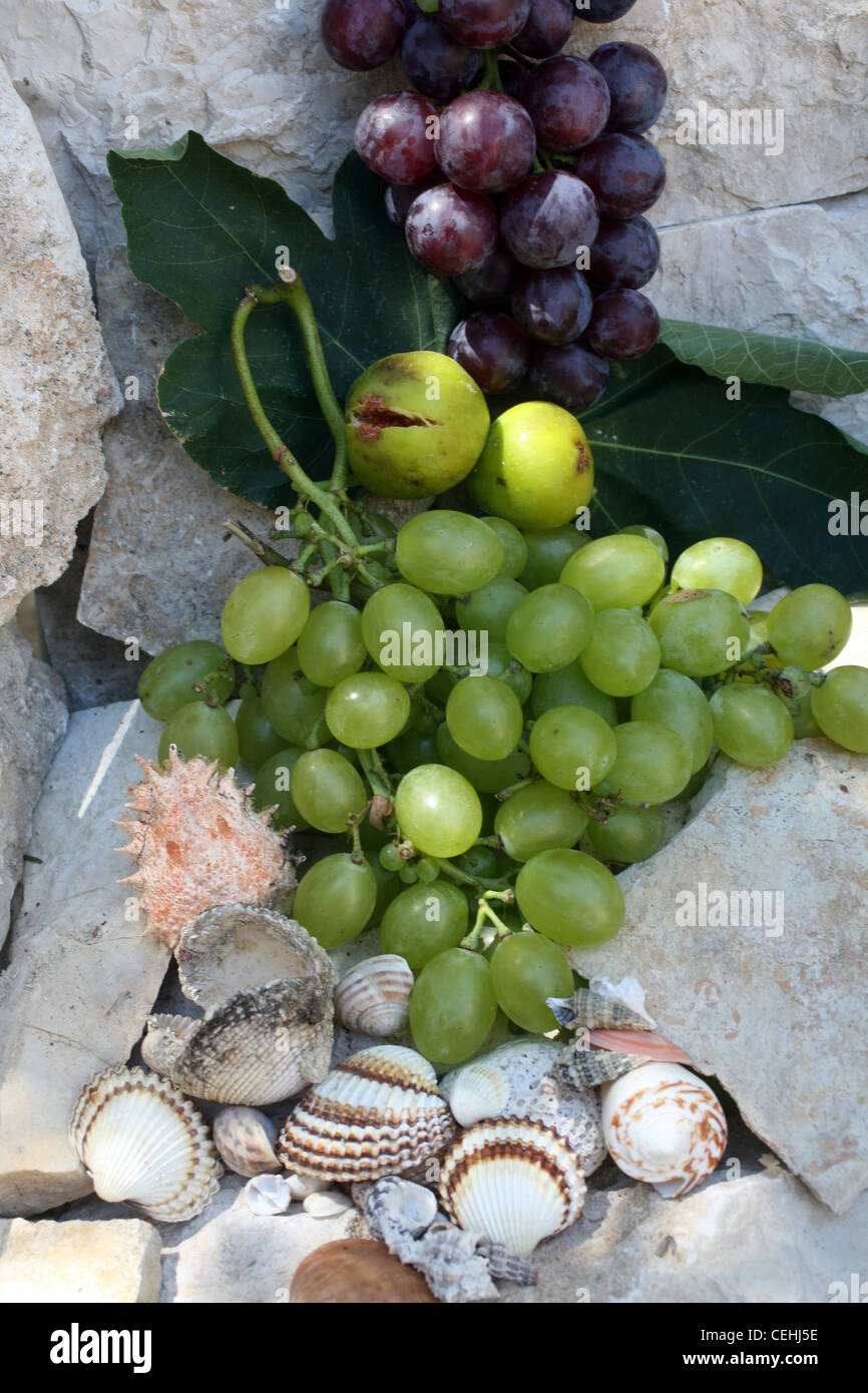 Fruit shell grapes hi-res stock photography and images - Alamy