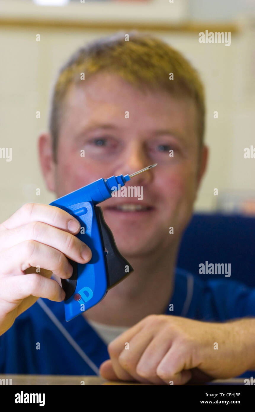 Pdsa hi-res stock photography and images - Alamy