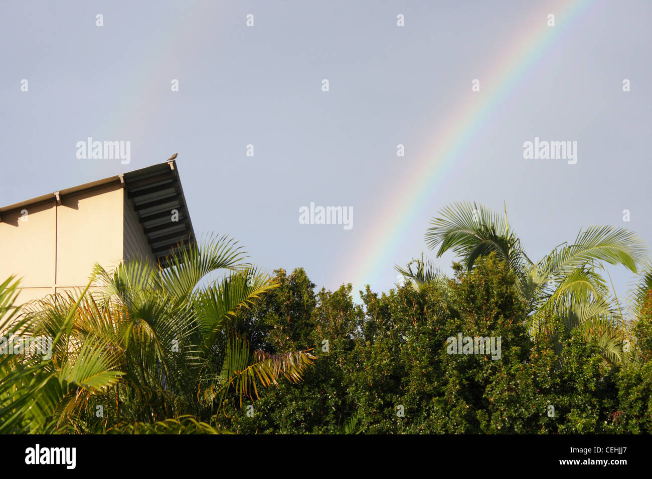 Rainbow following an afternoon storm in Australia Stock Photo - Alamy
