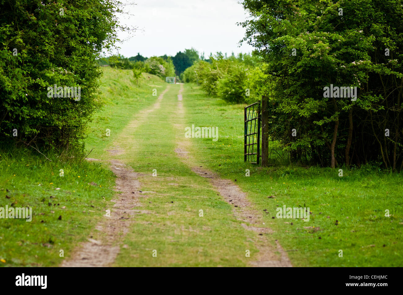 Vehicle track through a gate Stock Photo - Alamy