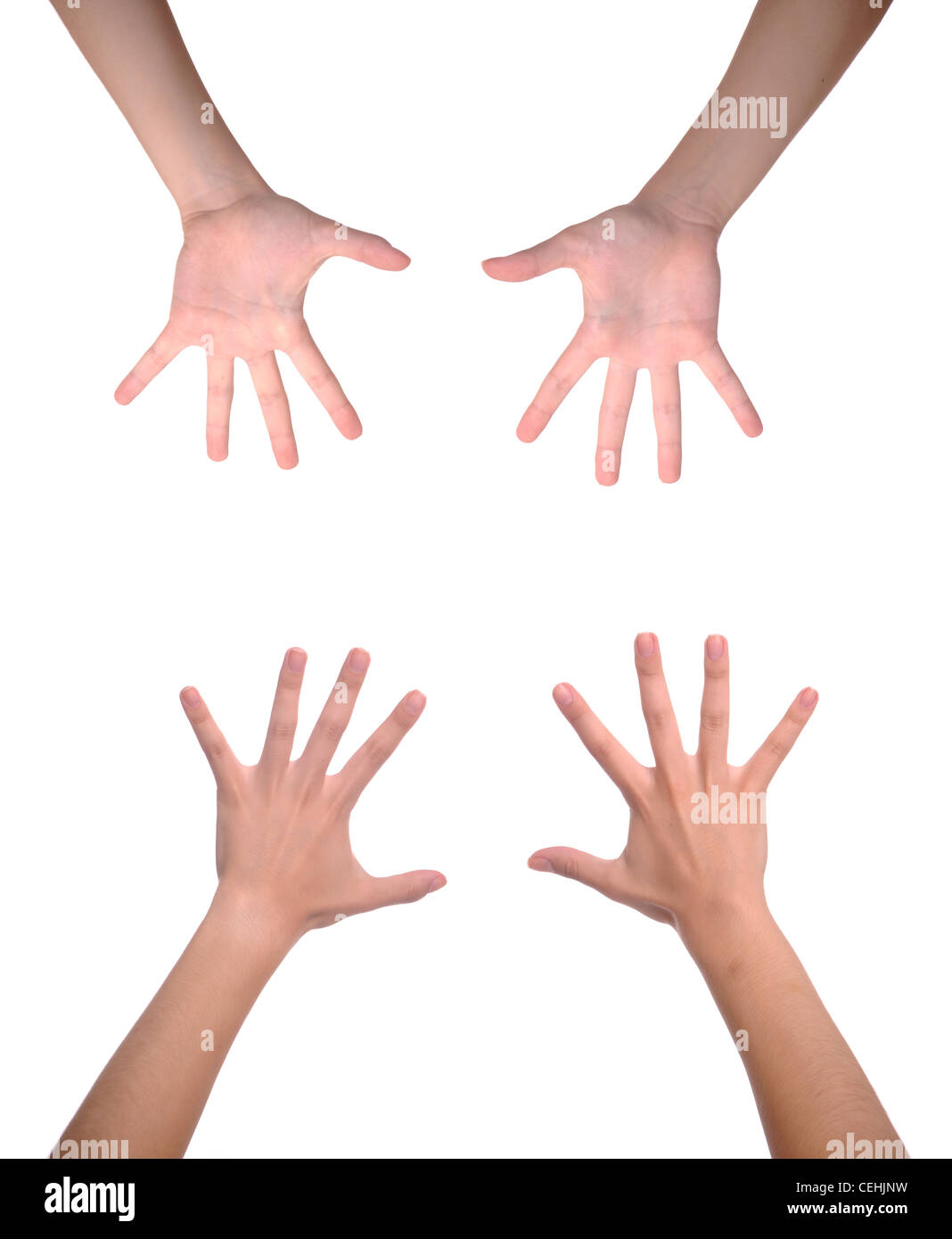 front and back woman hands (isolated on white background Stock Photo ...