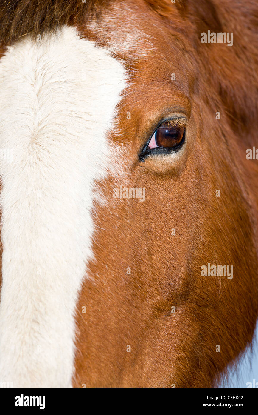 Hardened Face High Resolution Stock Photography and Images - Alamy