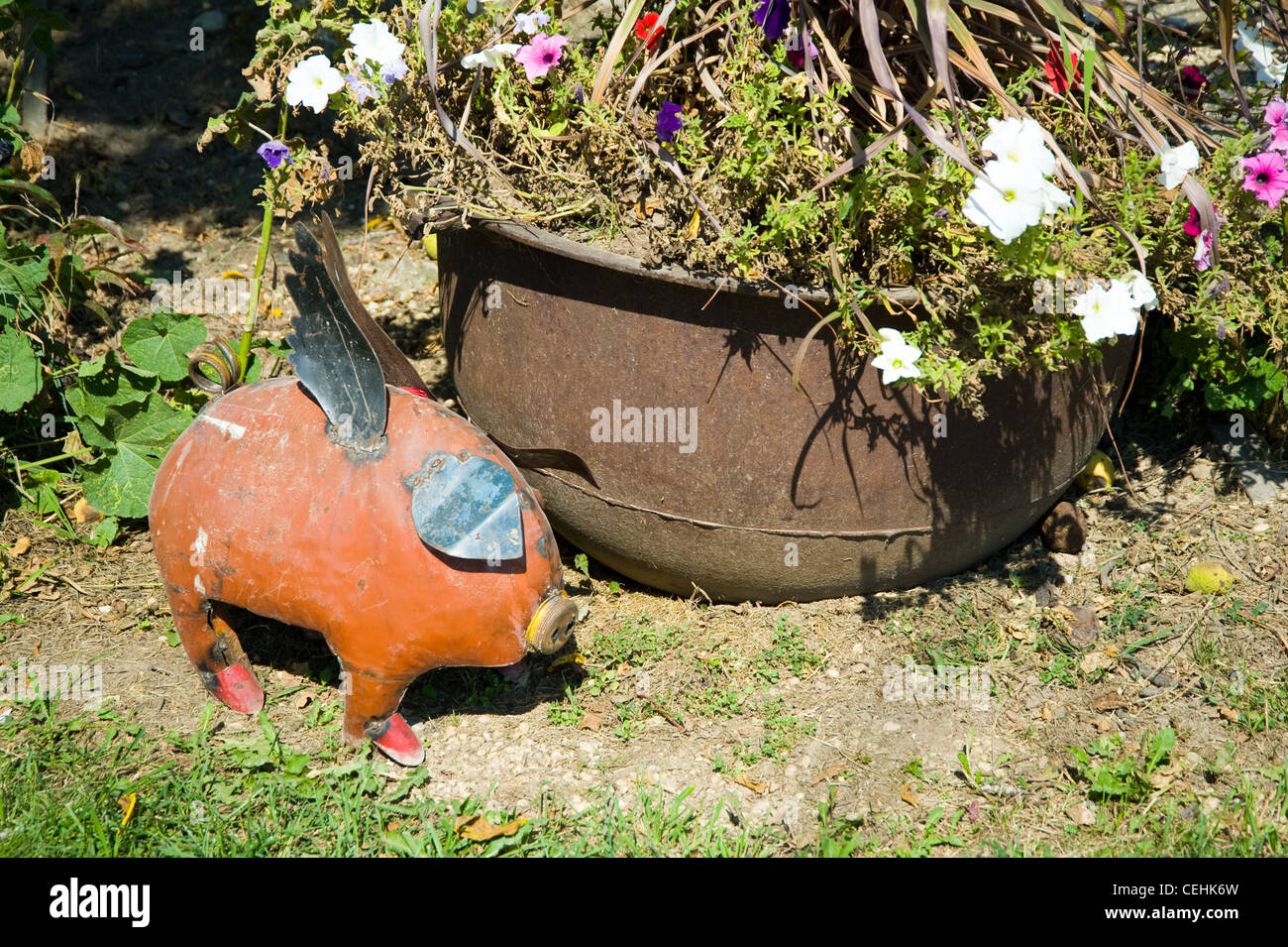 metal iron pig pot with flowers on the farm Stock Photo - Alamy