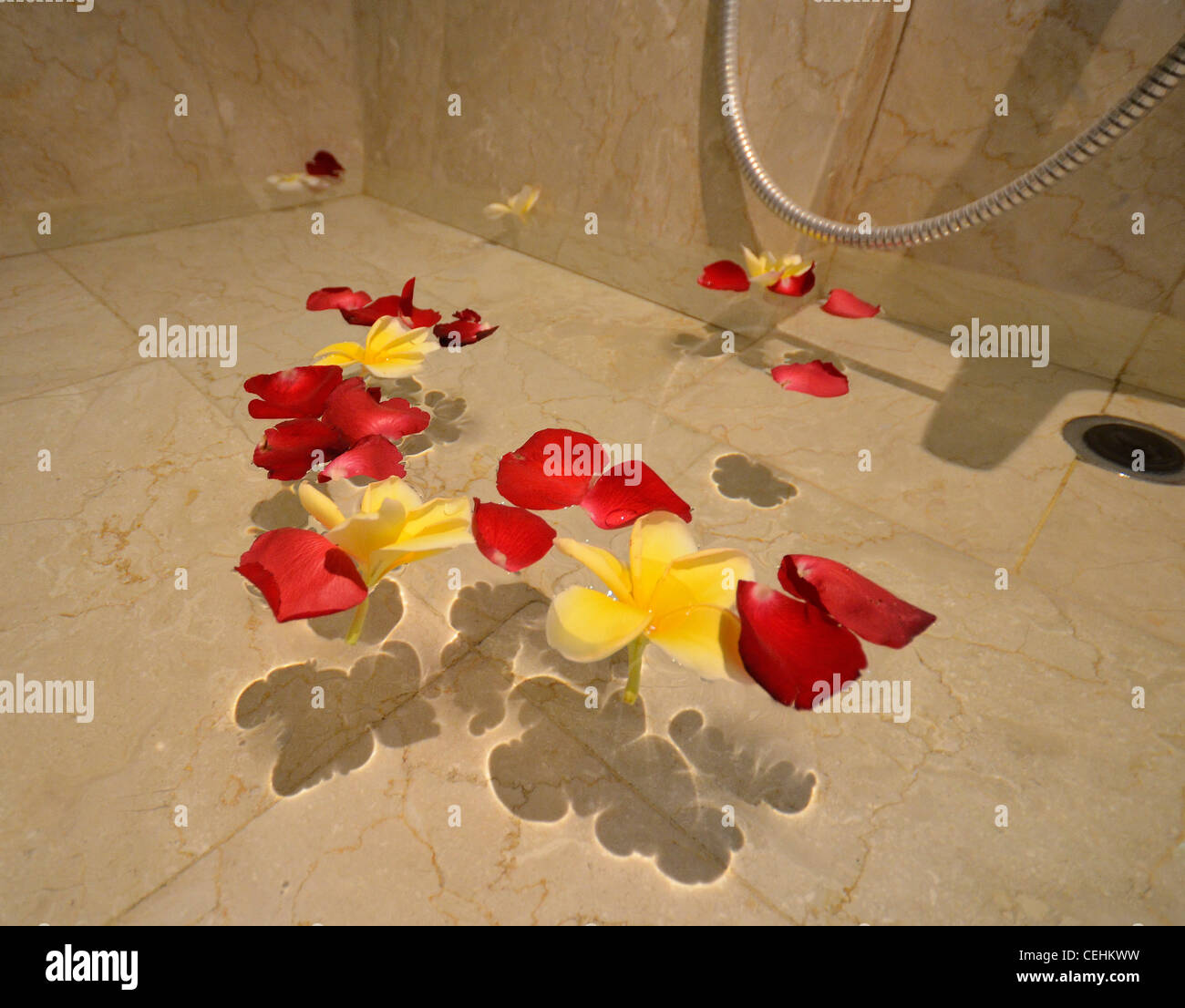 Lotus bath hi-res stock photography and images - Alamy