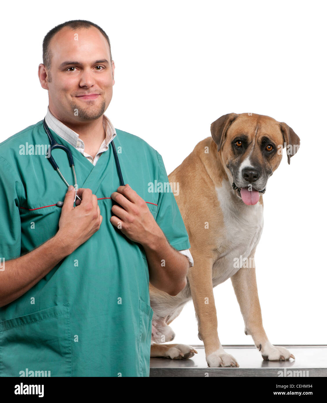 Vet standing next to a crossbreed dog in front of white background ...