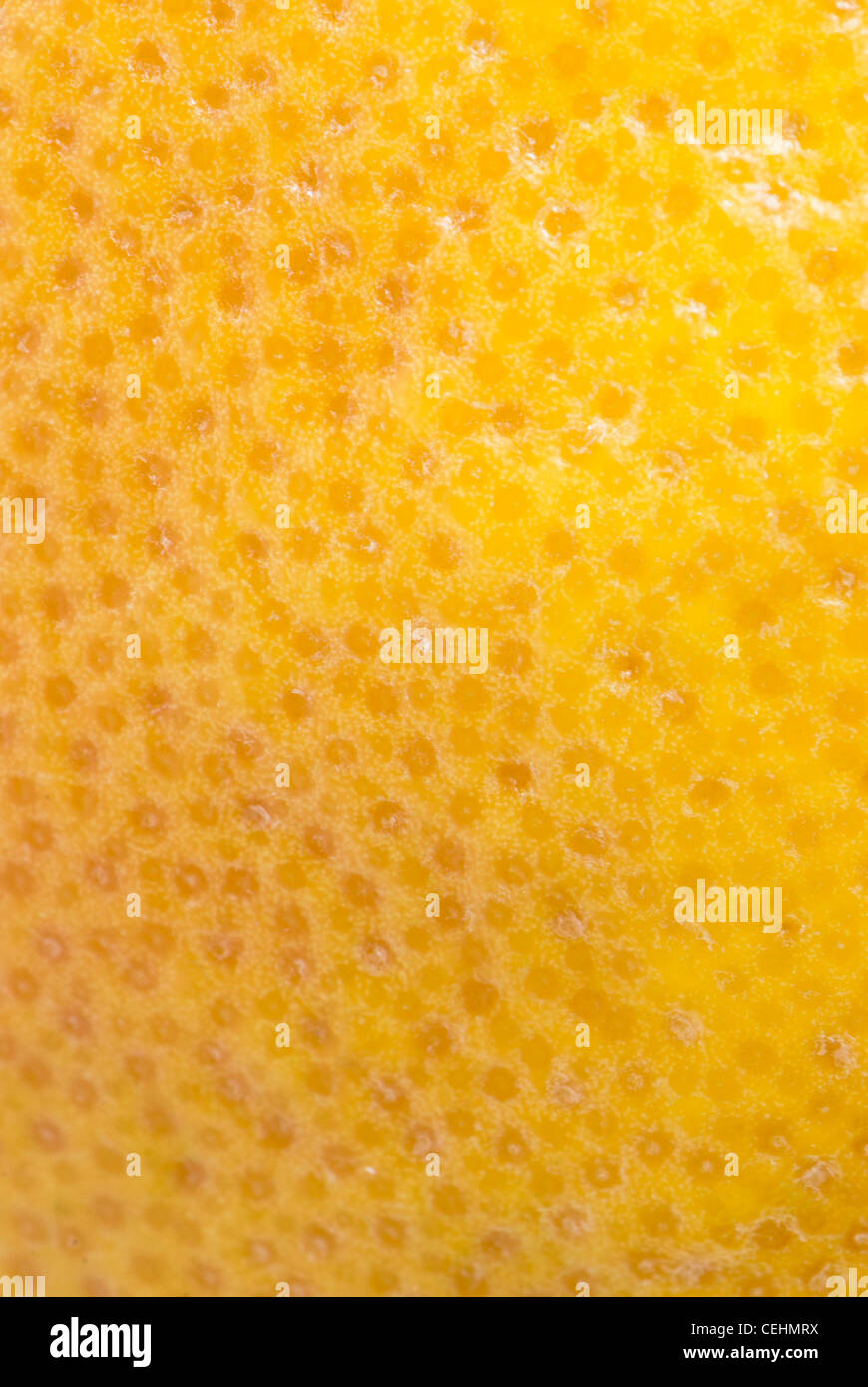 Citrus skin texture Stock Photo - Alamy