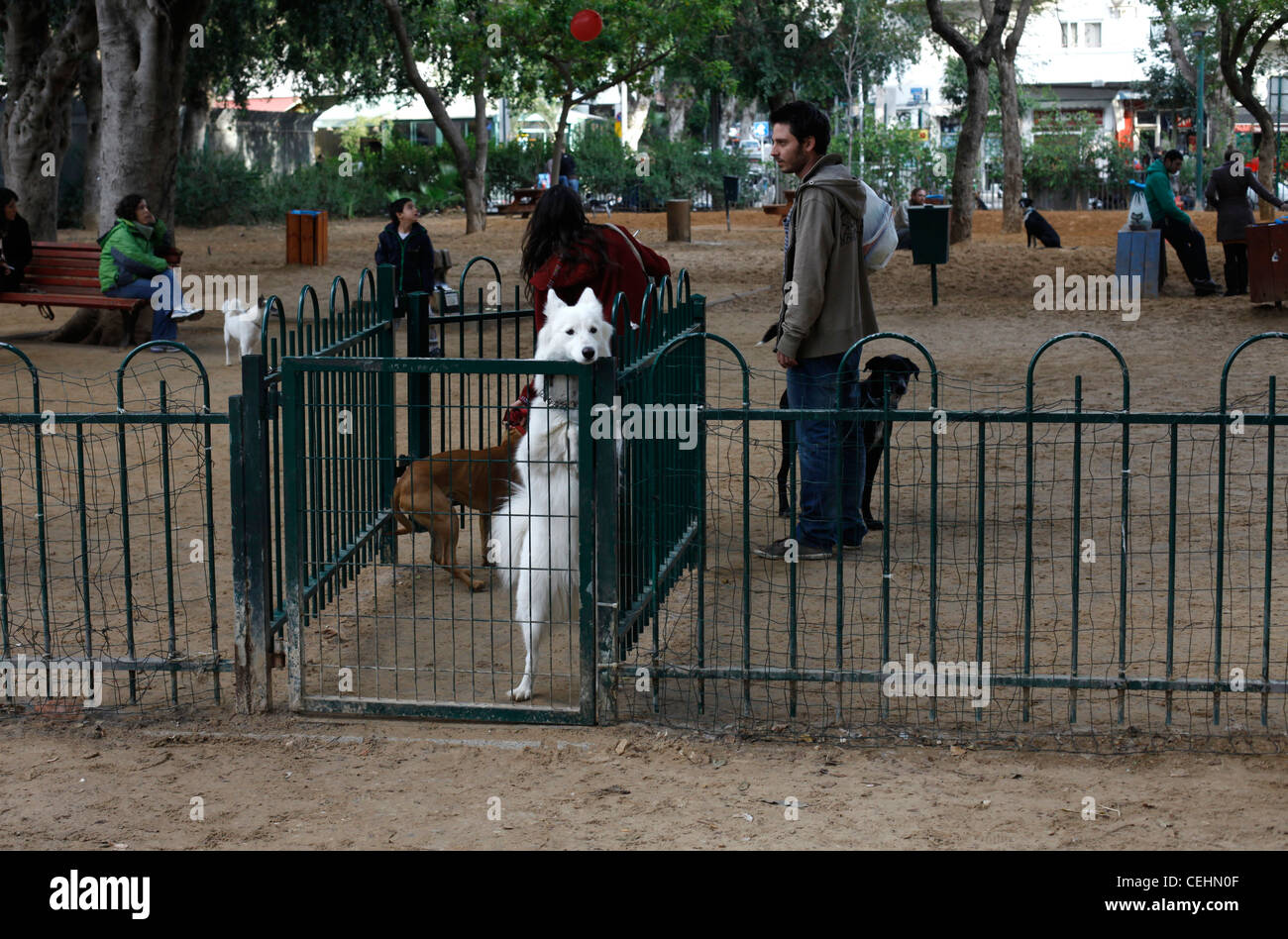 A "dog park" facility for dogs to play off leash in a controlled ...