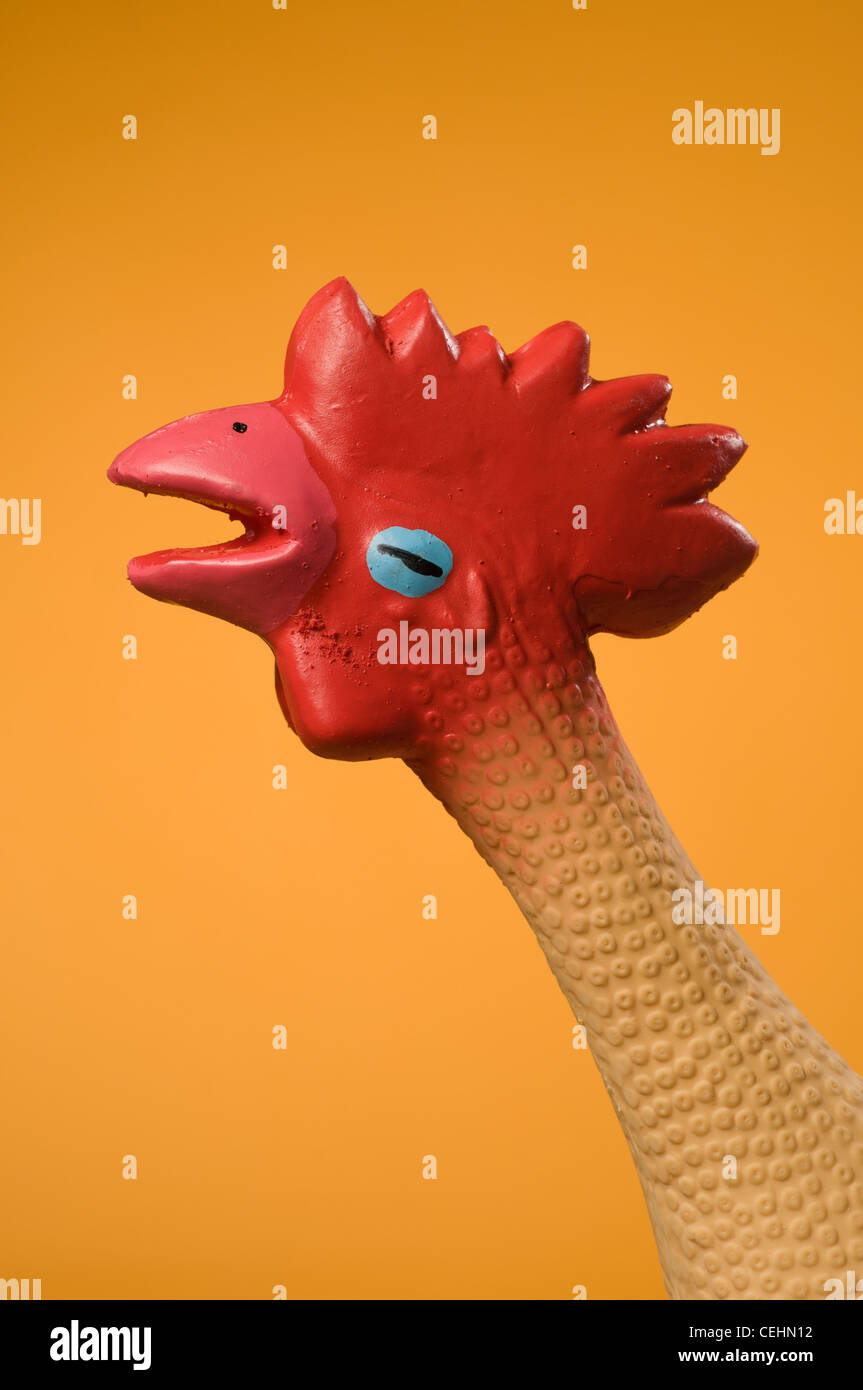 Studio portrait of rubber rooster over yellow background Stock Photo ...
