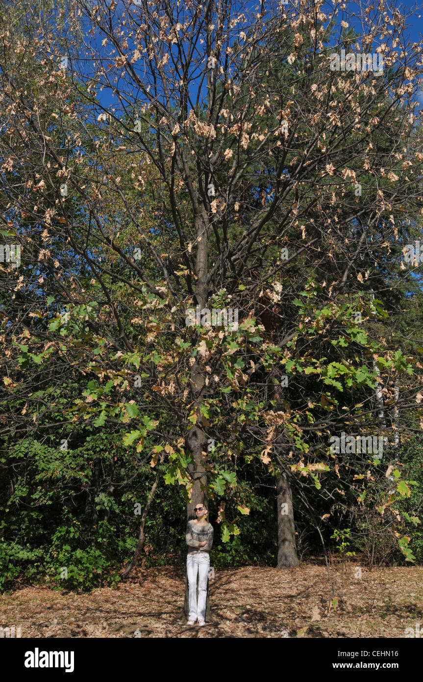 Lonely girl standing under oak tree on a autumn day Stock Photo - Alamy