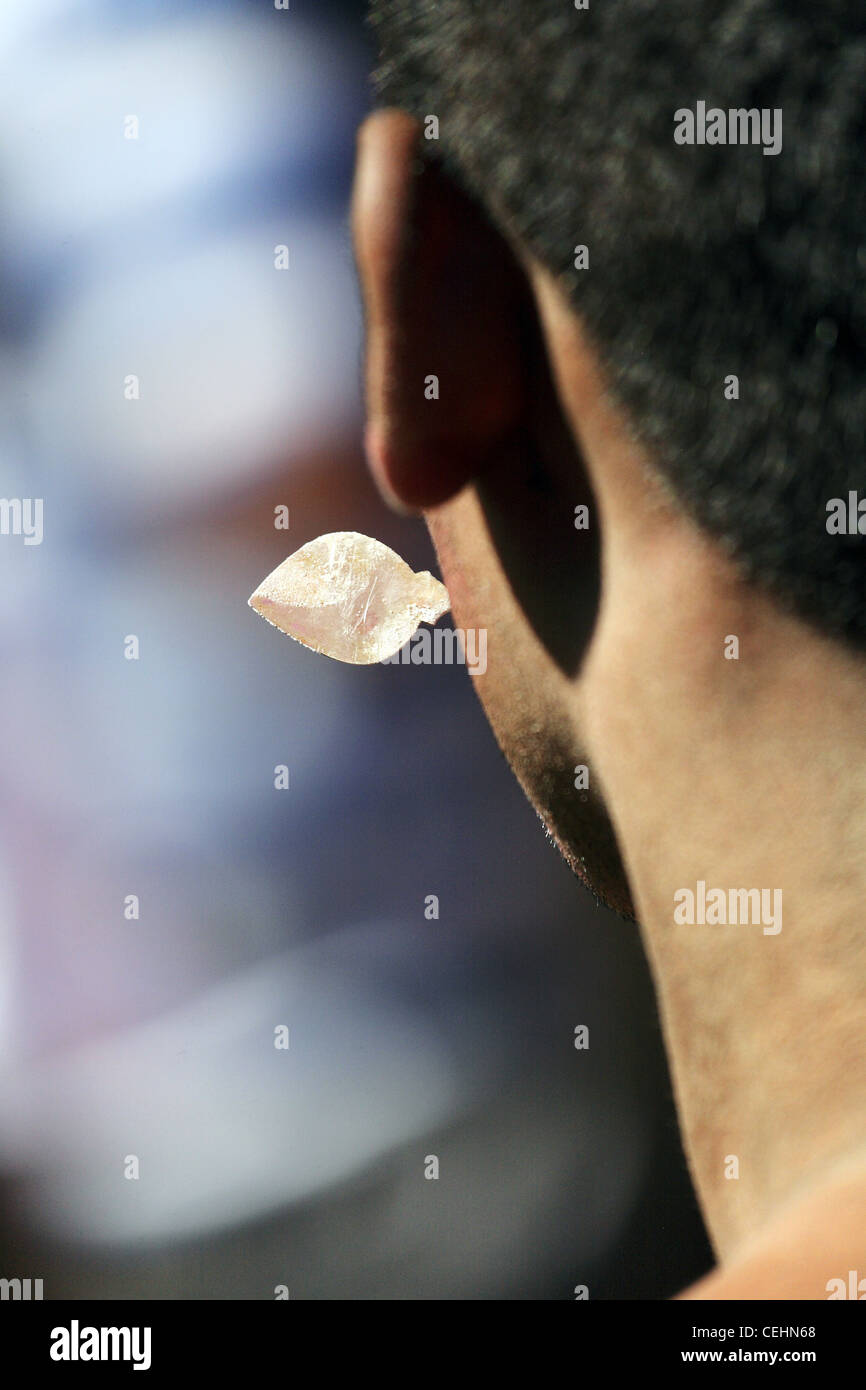 Thaipoosam cavadee mauritius hi-res stock photography and images - Alamy