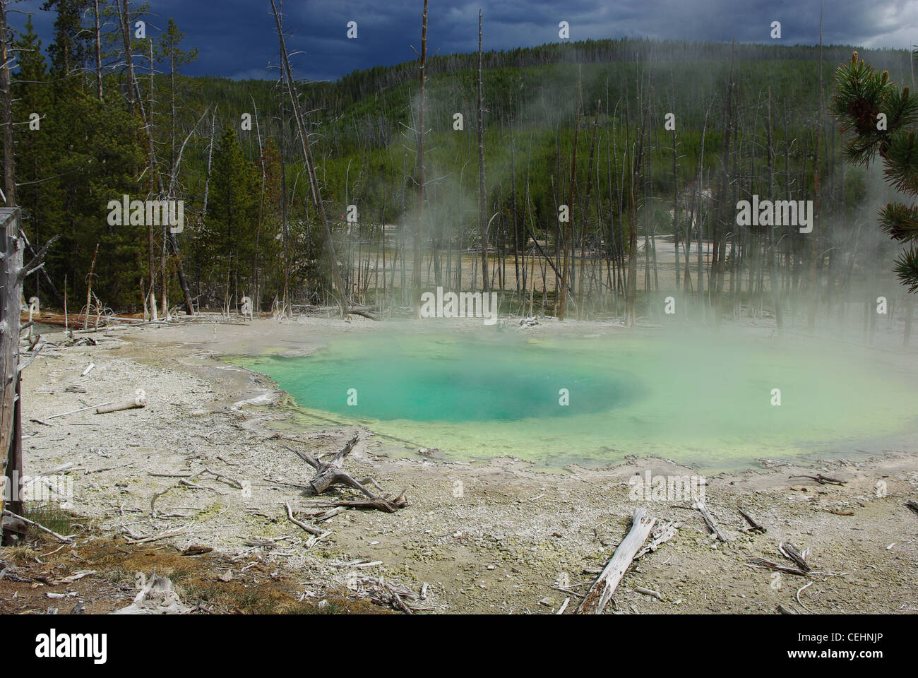 Green hot pool in Yellowstone National Park, Wyoming Stock Photo - Alamy