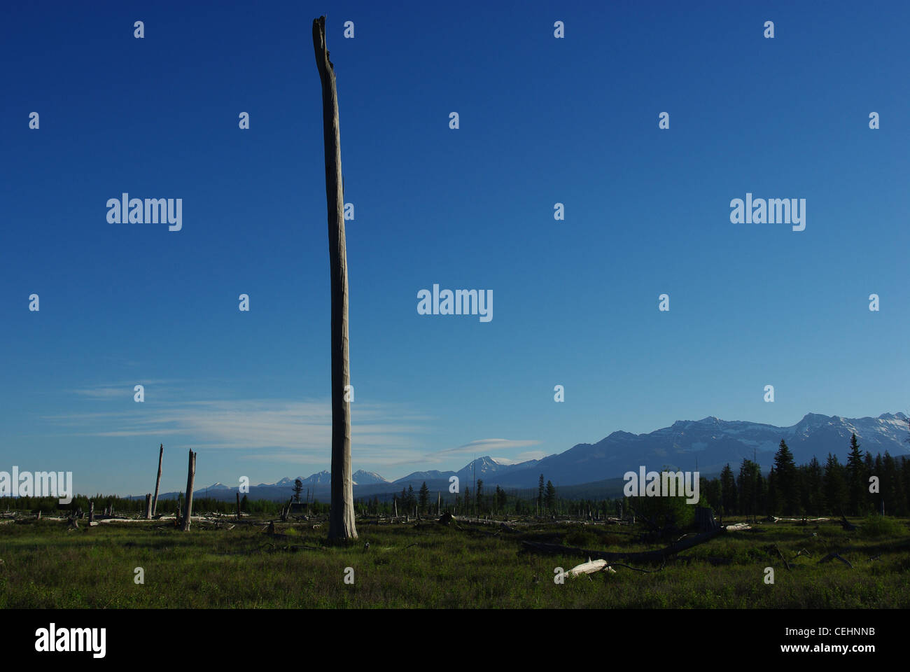 Canada mountain border hi-res stock photography and images - Alamy