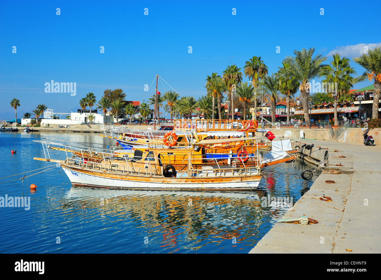 Side turkey hi-res stock photography and images - Alamy