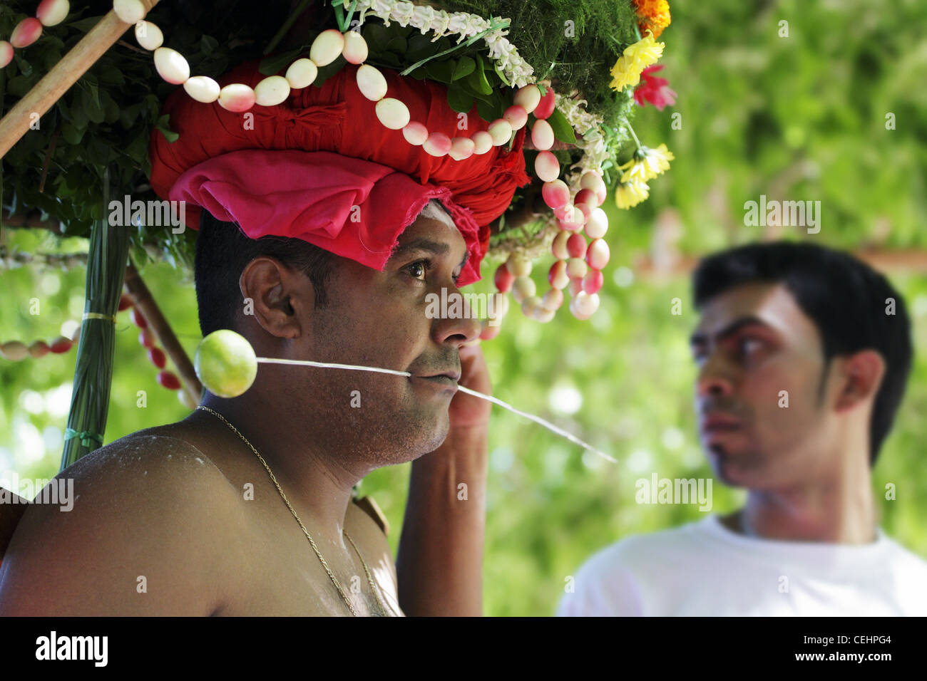 Portrait - hindu festival of thaipusam cavadee Stock Photo - Alamy