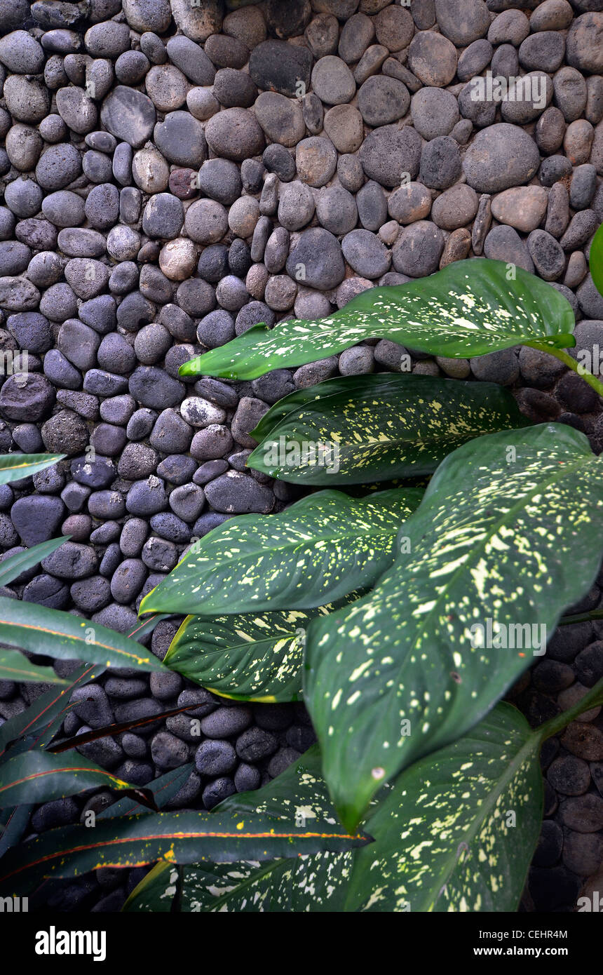decorative pebble path and stairs Stock Photo - Alamy