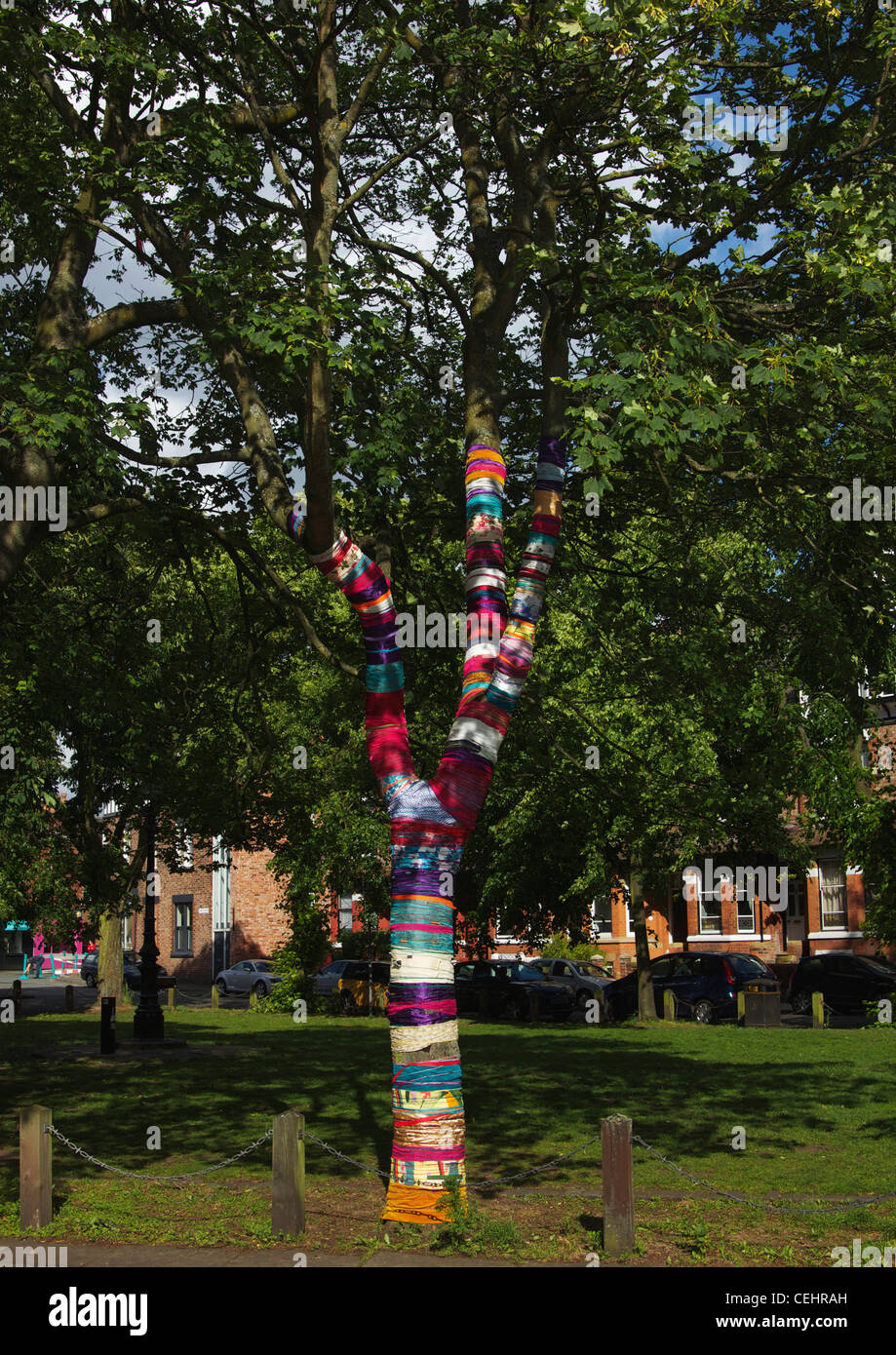 Tree dressed-up with colourful cloth Stock Photo - Alamy