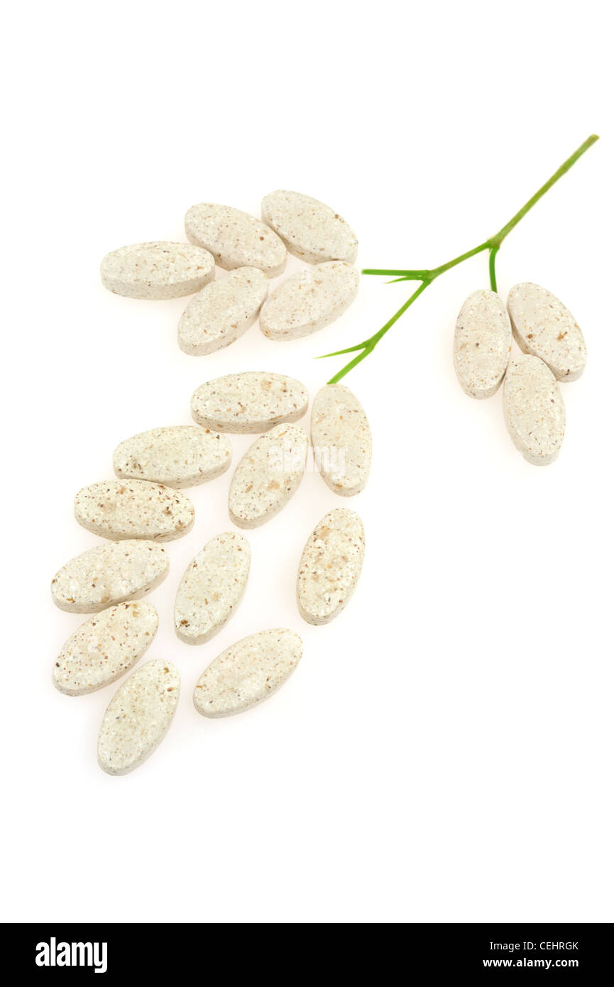 Plant made up of pills – alternative medicine concept - isolated Stock ...