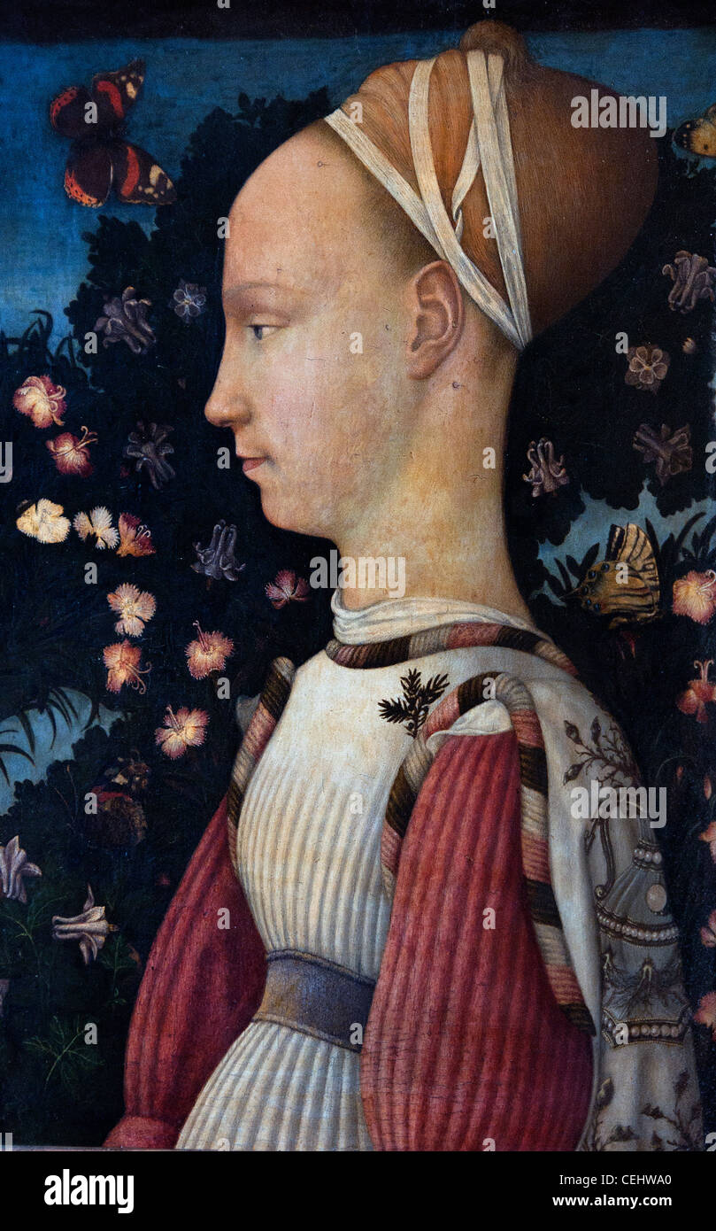 Antonio pisanello hi-res stock photography and images - Alamy