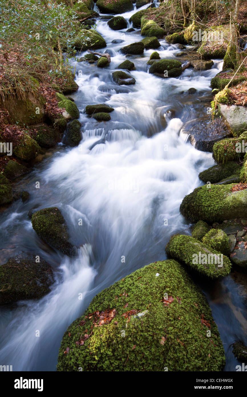 Slow running hi-res stock photography and images - Alamy