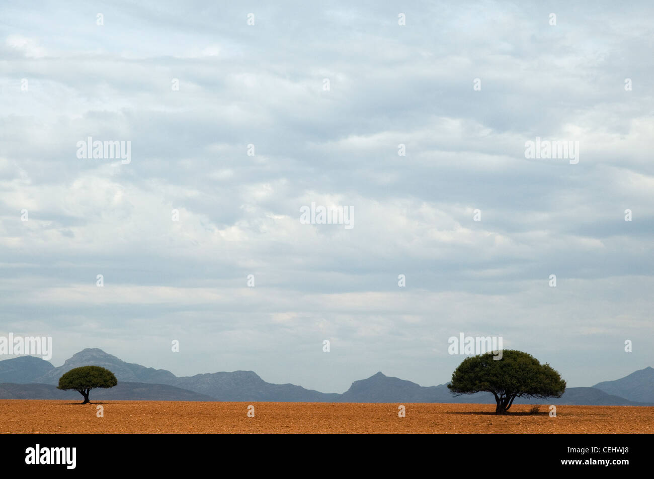 Karoo landscape hi-res stock photography and images - Alamy